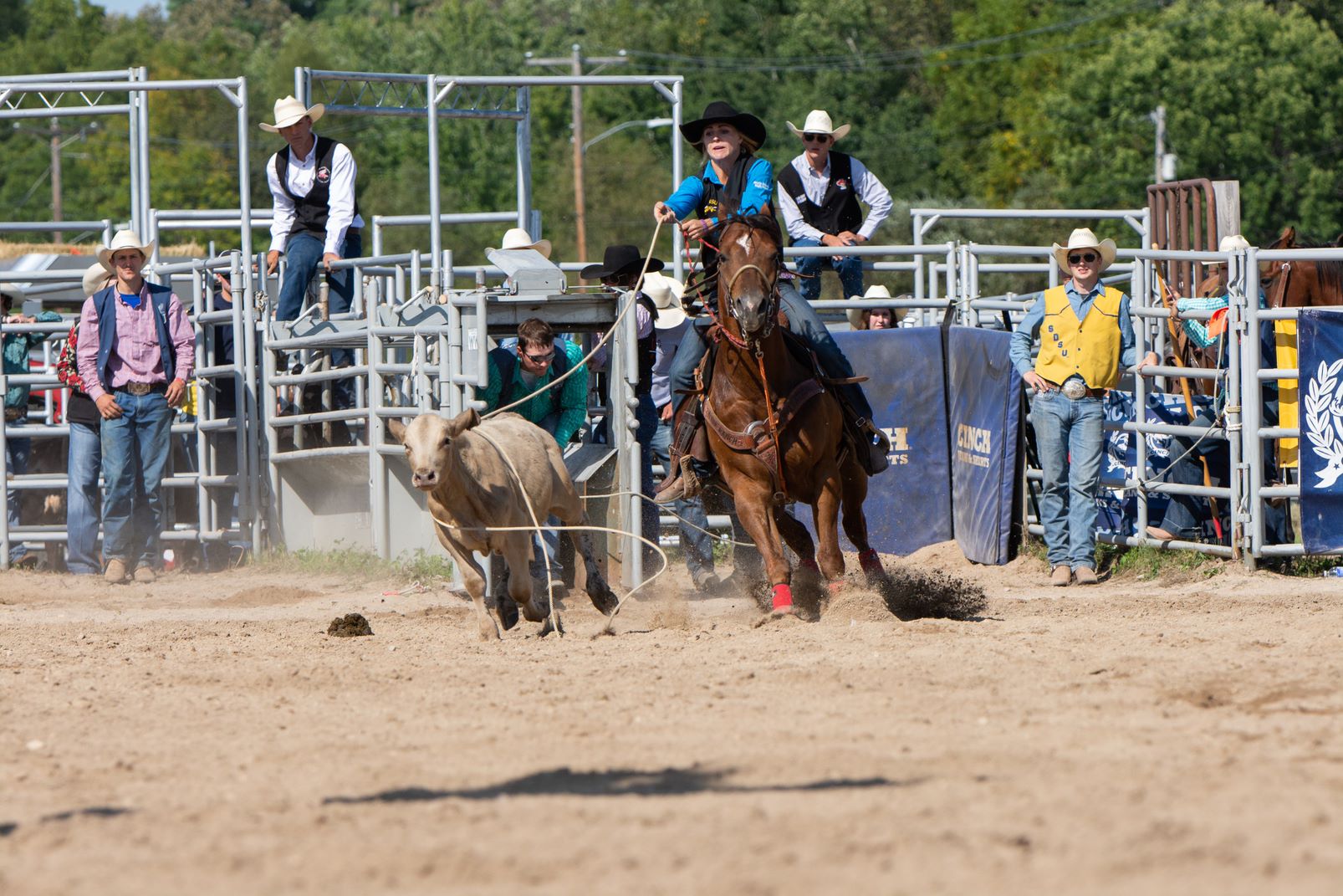 Emilee Pauley - Rodeo - Black Hills State University Athletics