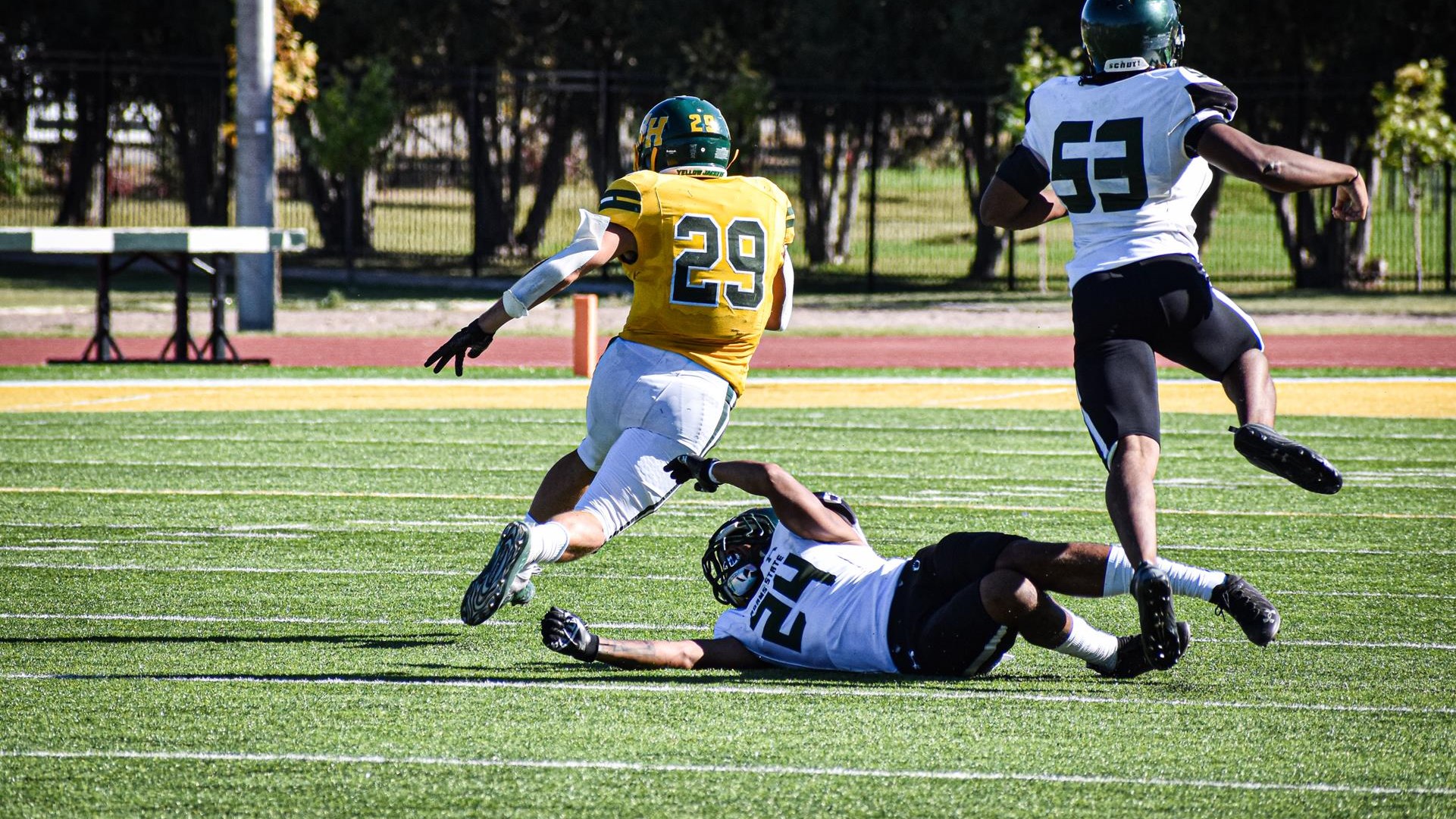 Nolan Susel - Football - Black Hills State University Athletics