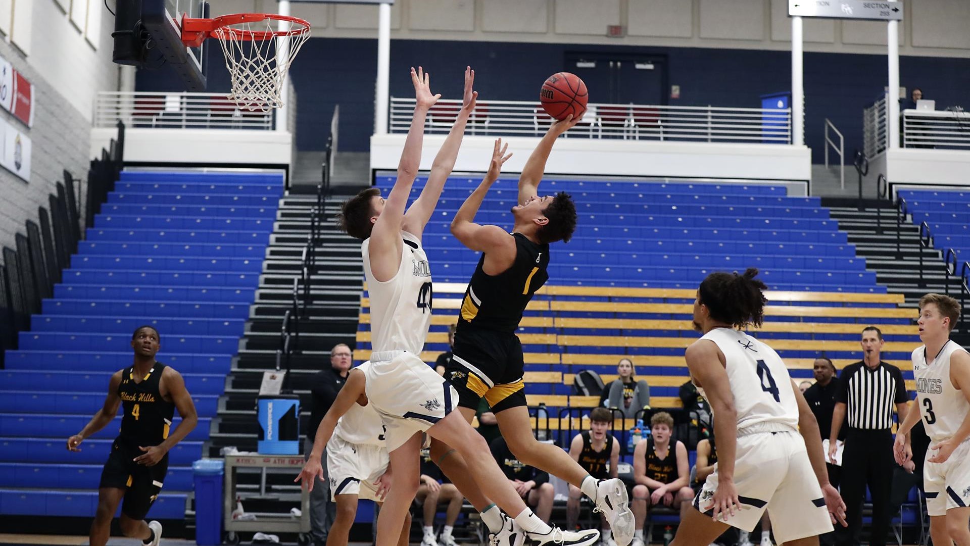 Joel Scott - Men's Basketball - Black Hills State University Athletics