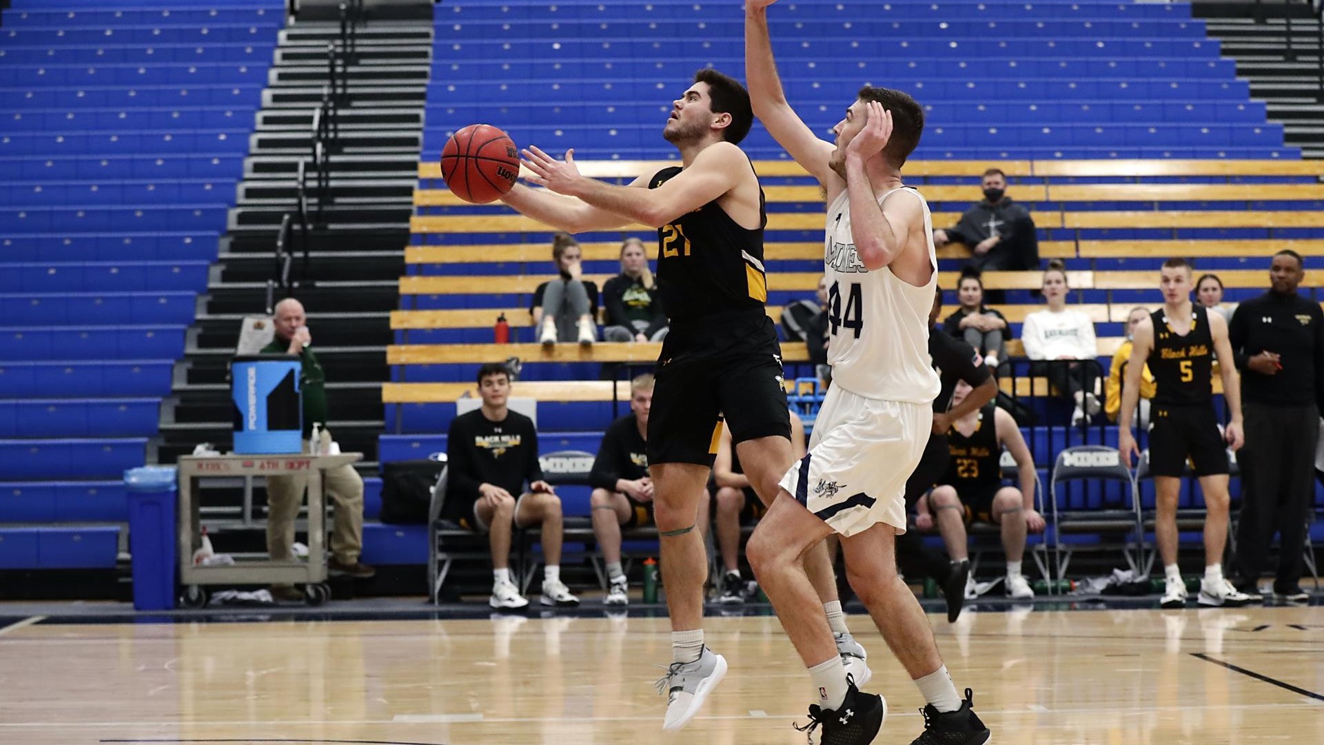 Tommy Donovan - Men's Basketball - Black Hills State University Athletics