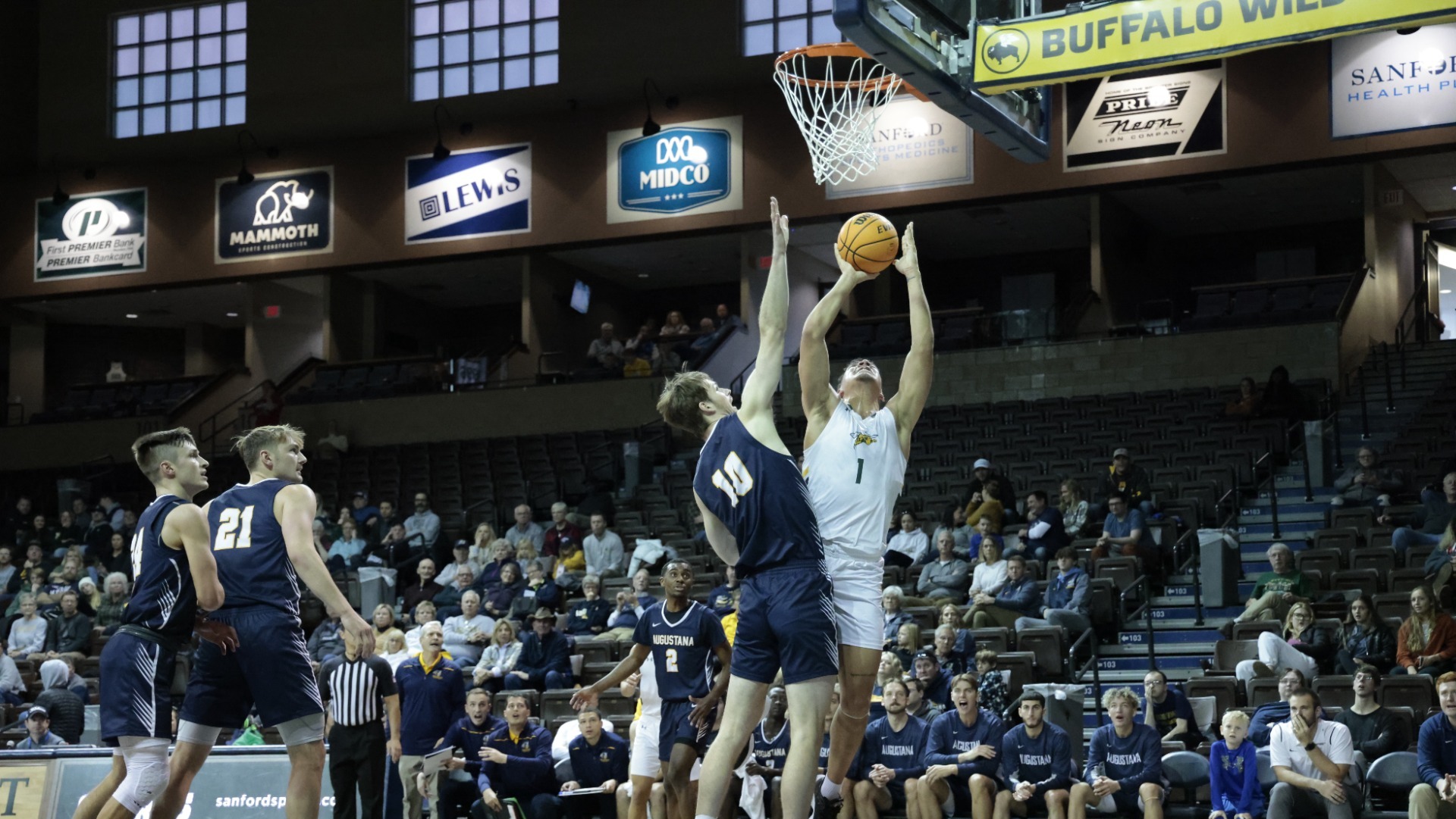 Joel Scott - Men's Basketball - Black Hills State University Athletics