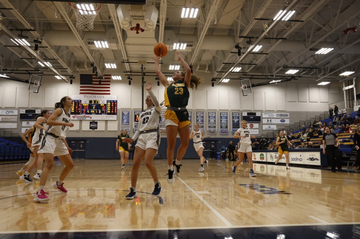 Niki Van Wyk - Women's Basketball - Black Hills State University Athletics
