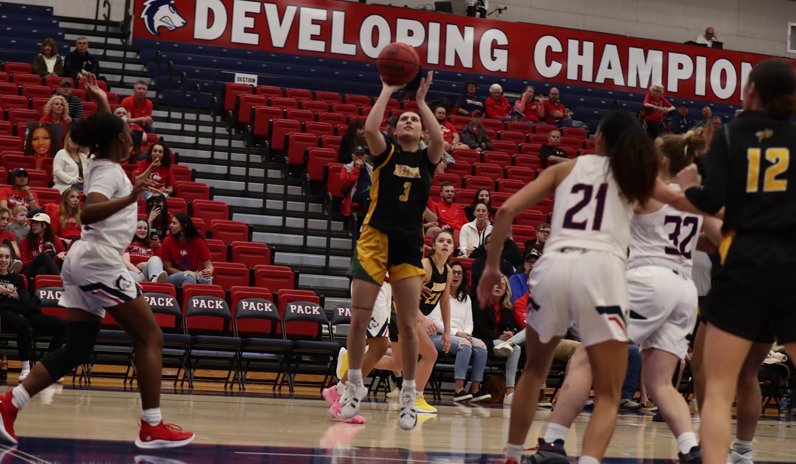 Raven Cournoyer - Women's Basketball - Black Hills State University ...