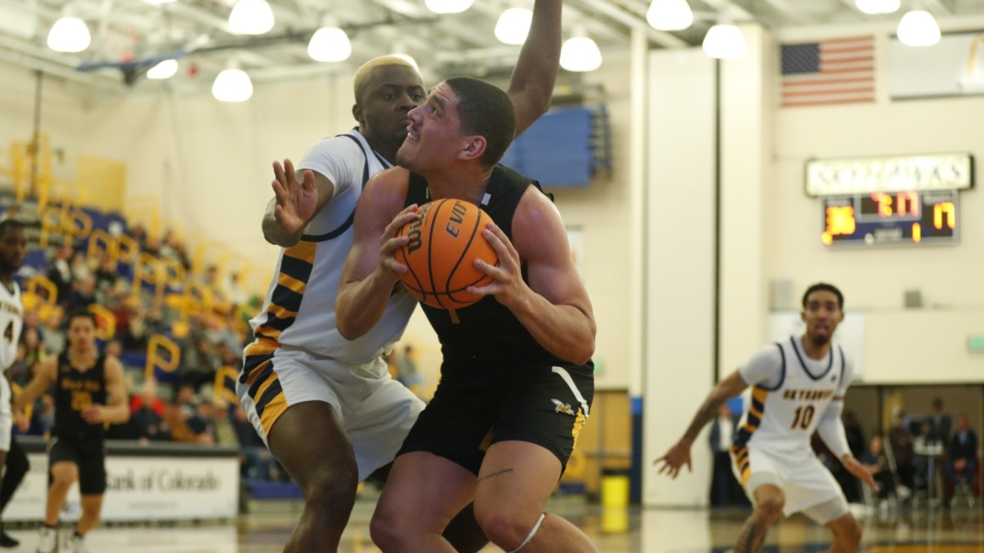 Joel Scott - Men's Basketball - Black Hills State University Athletics