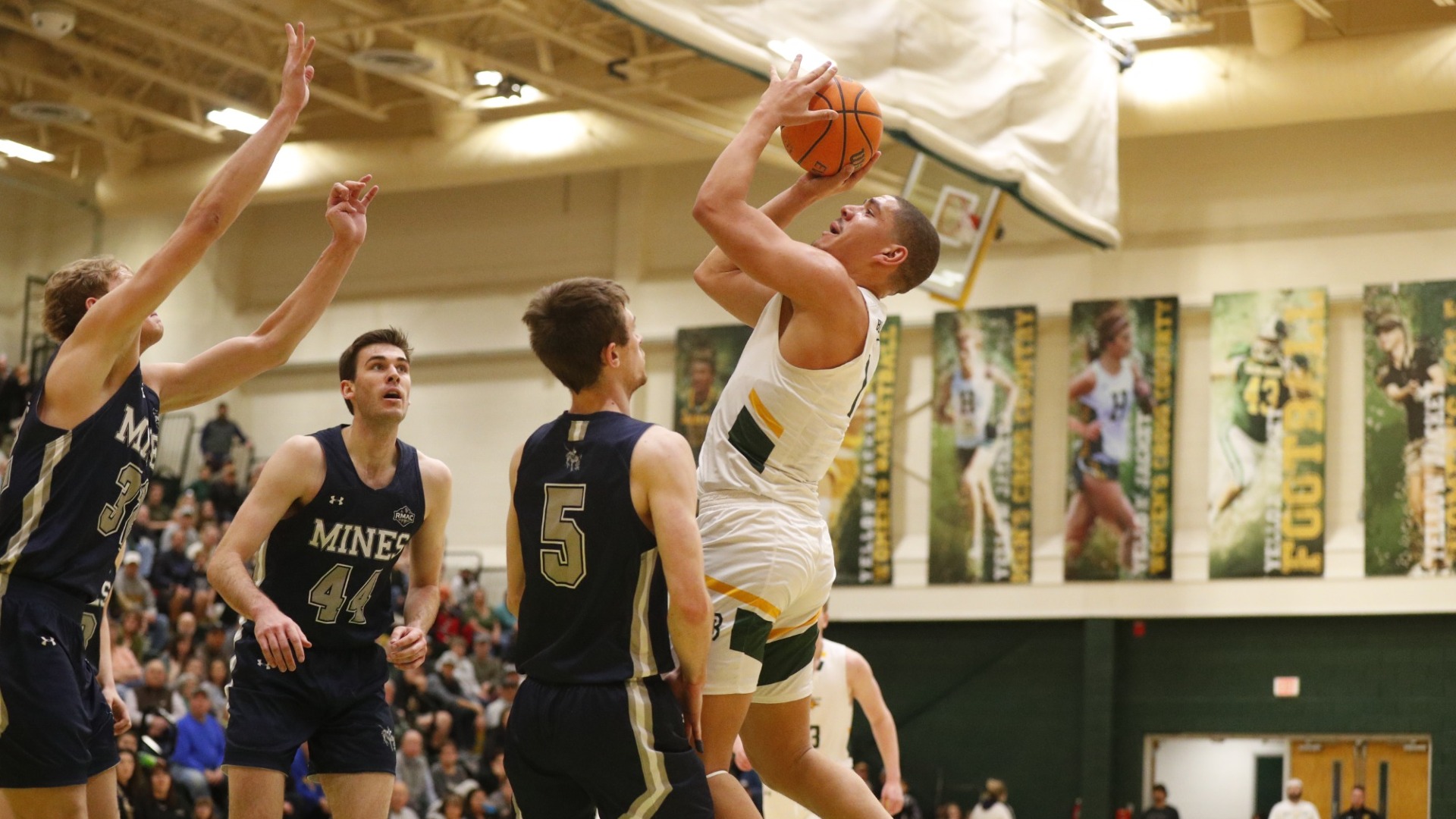 Joel Scott - Men's Basketball - Black Hills State University Athletics