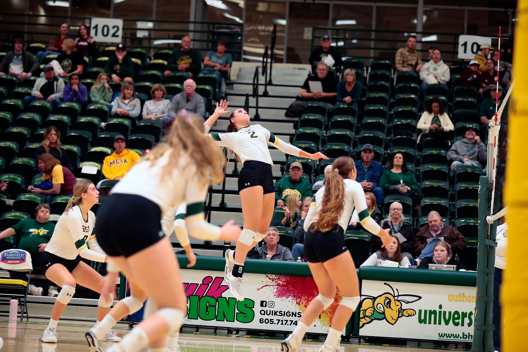 BHSU Drops Game One of Yellow Jacket Classic to NSU, 3-0 - Black Hills ...
