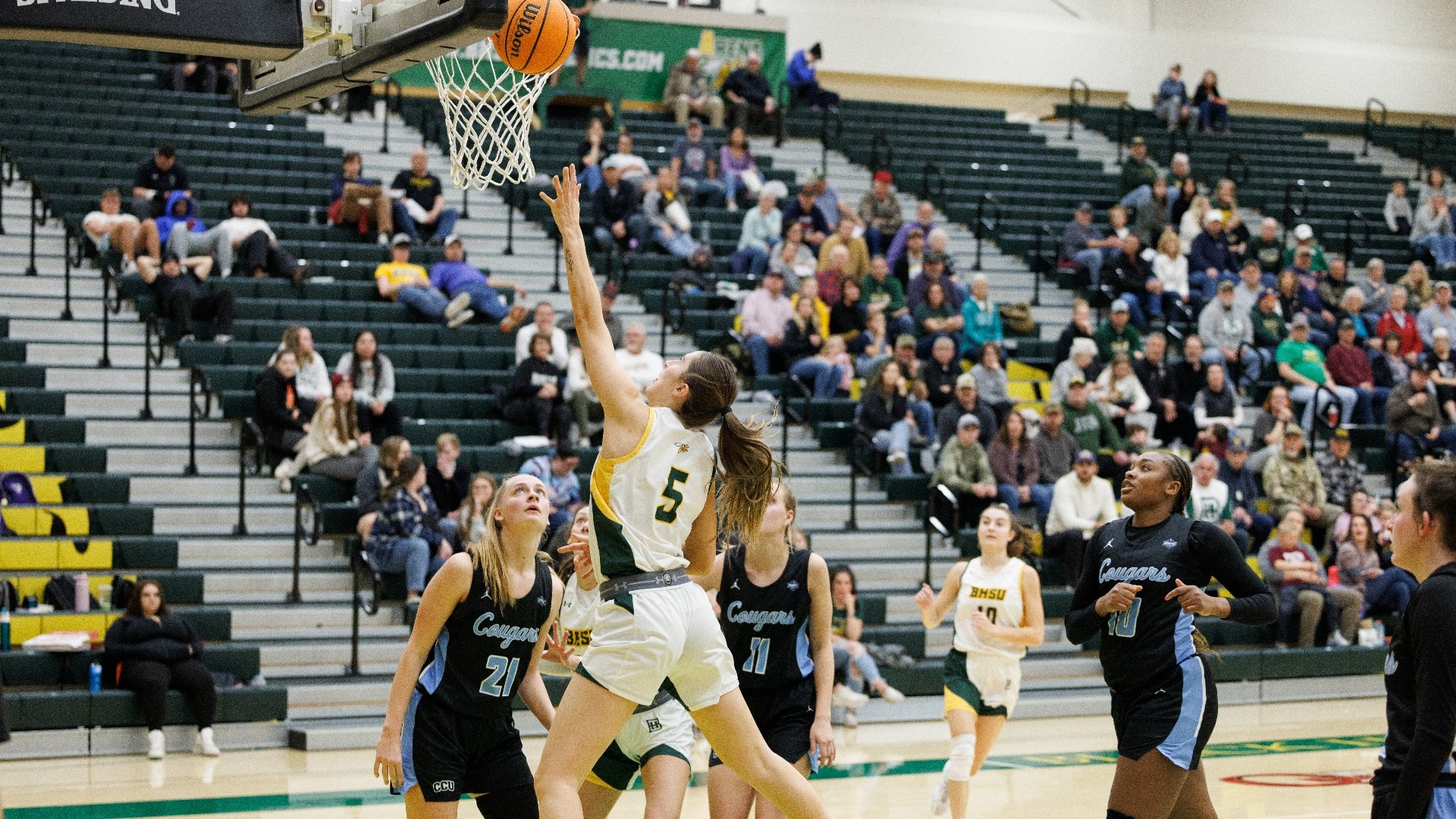 Kalla Bertram - Women's Basketball - Black Hills State University Athletics