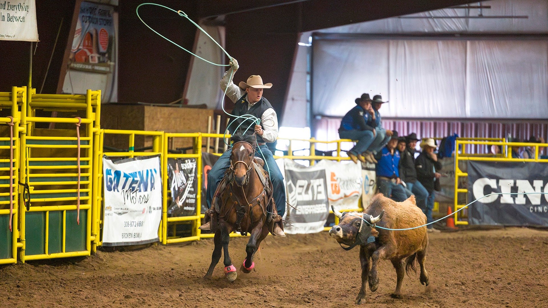 Yellow Jacket Rodeo Announces 2025 Fall Schedule - Black Hills State ...