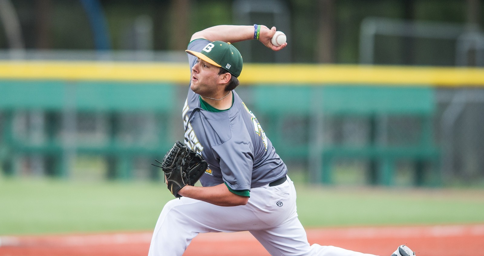 Chase Birch - 2018 - Baseball - Belhaven University Athletics