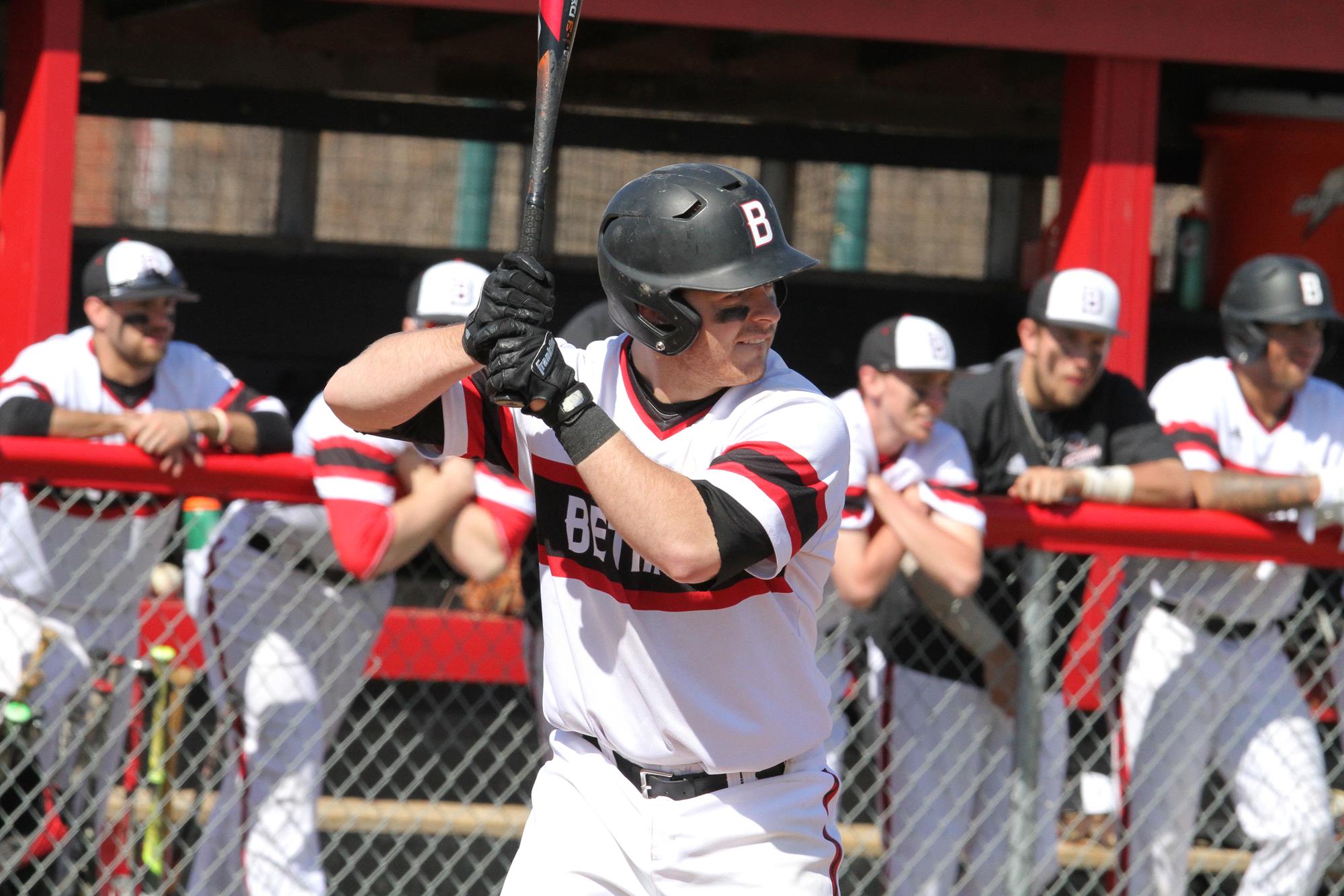 Ben Boran - Baseball - Bethany Lutheran College Athletics