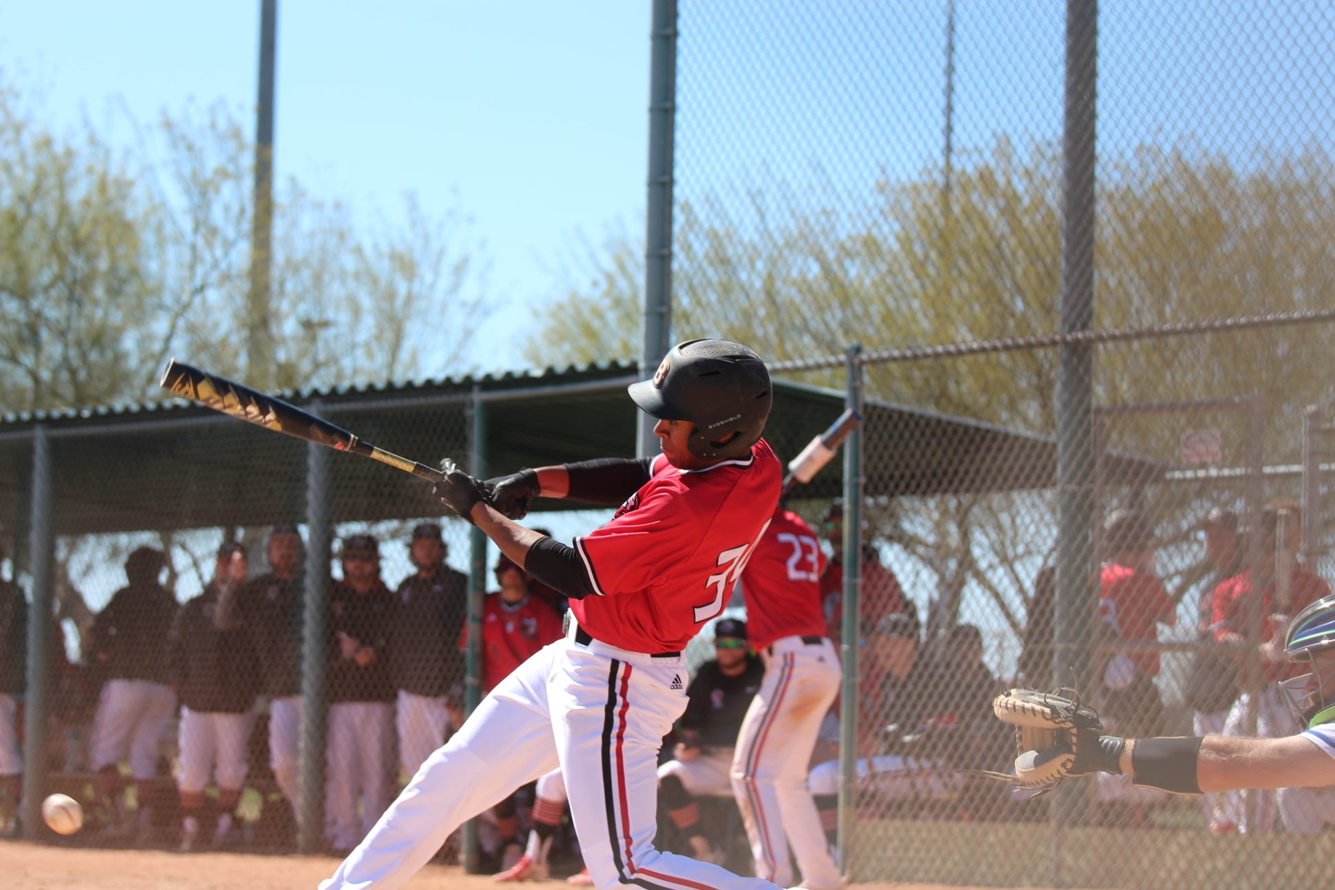Vaughn Pouncy - Baseball - Bethany Lutheran College Athletics