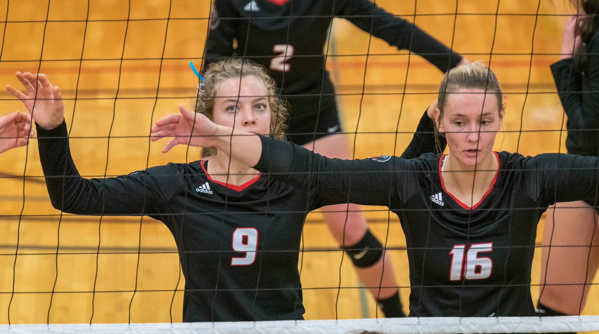 Volleyball Drops Two Contests at St. Catherine - Bethany Lutheran ...