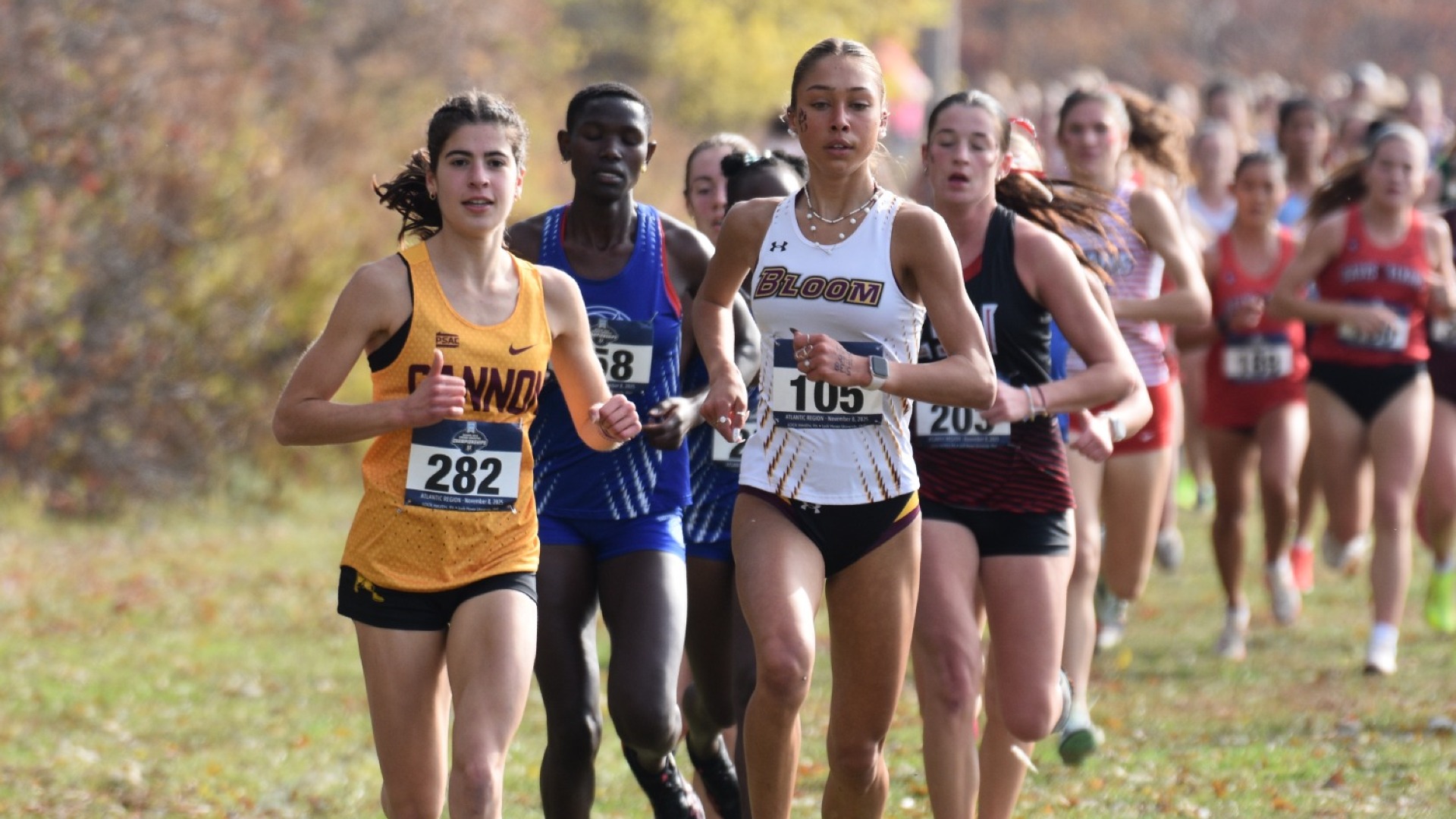 Magagna Finishes 87th at NCAA Women's Cross Country National ...