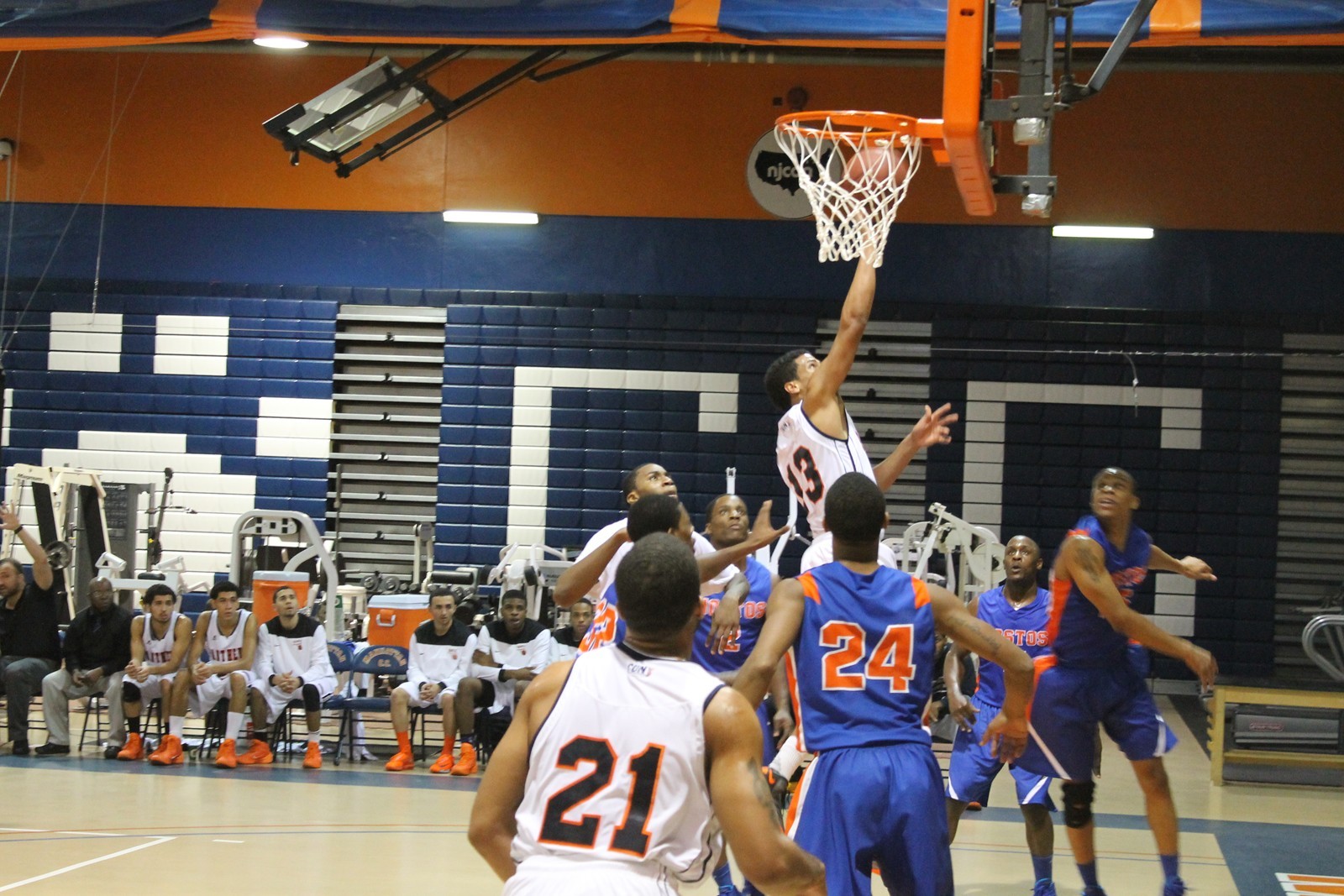 Tim Pandolfi - Men's Basketball - Borough of Manhattan Community ...