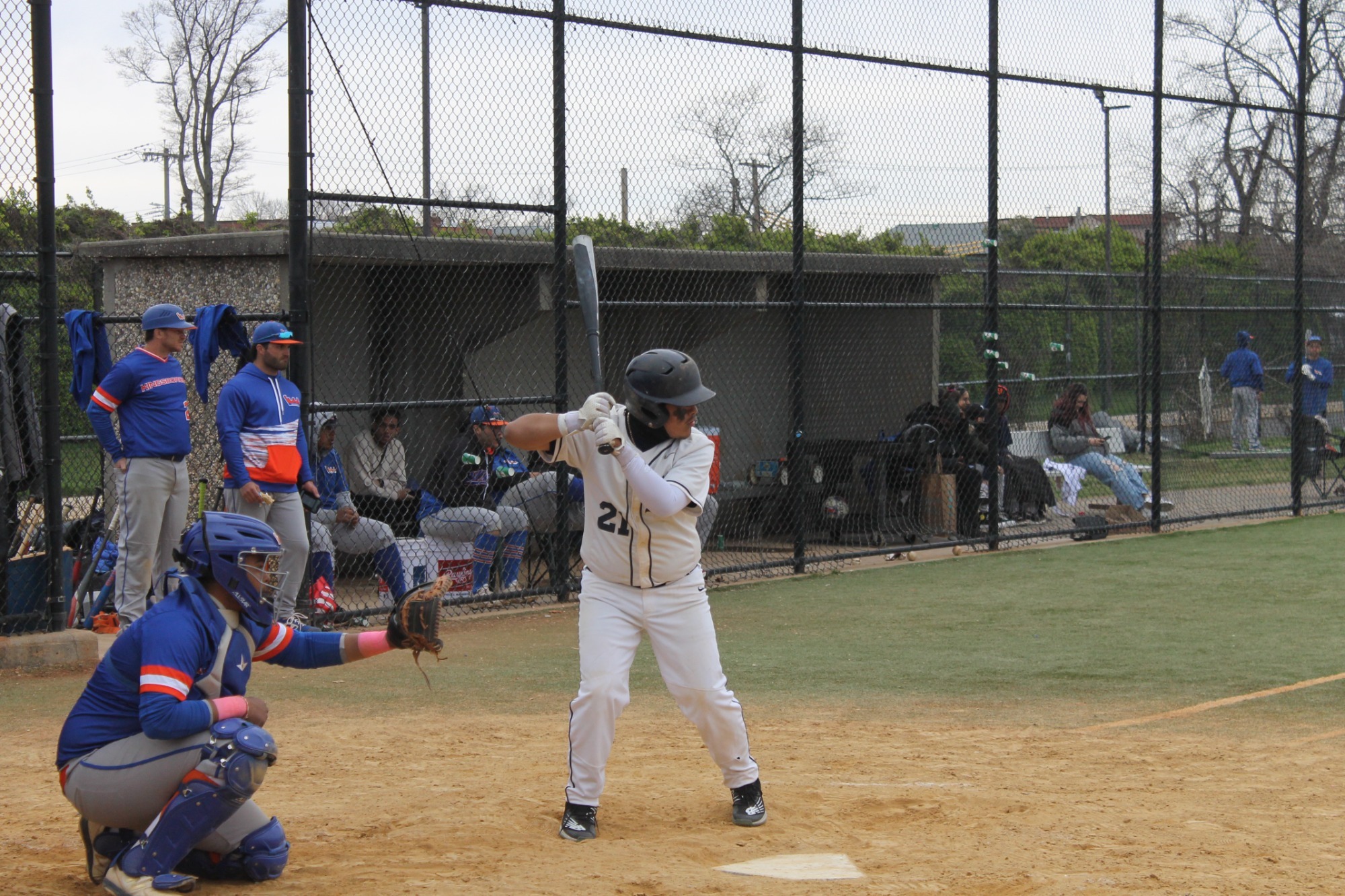 Adonis Suarez - Baseball - Borough of Manhattan Community College Athletics