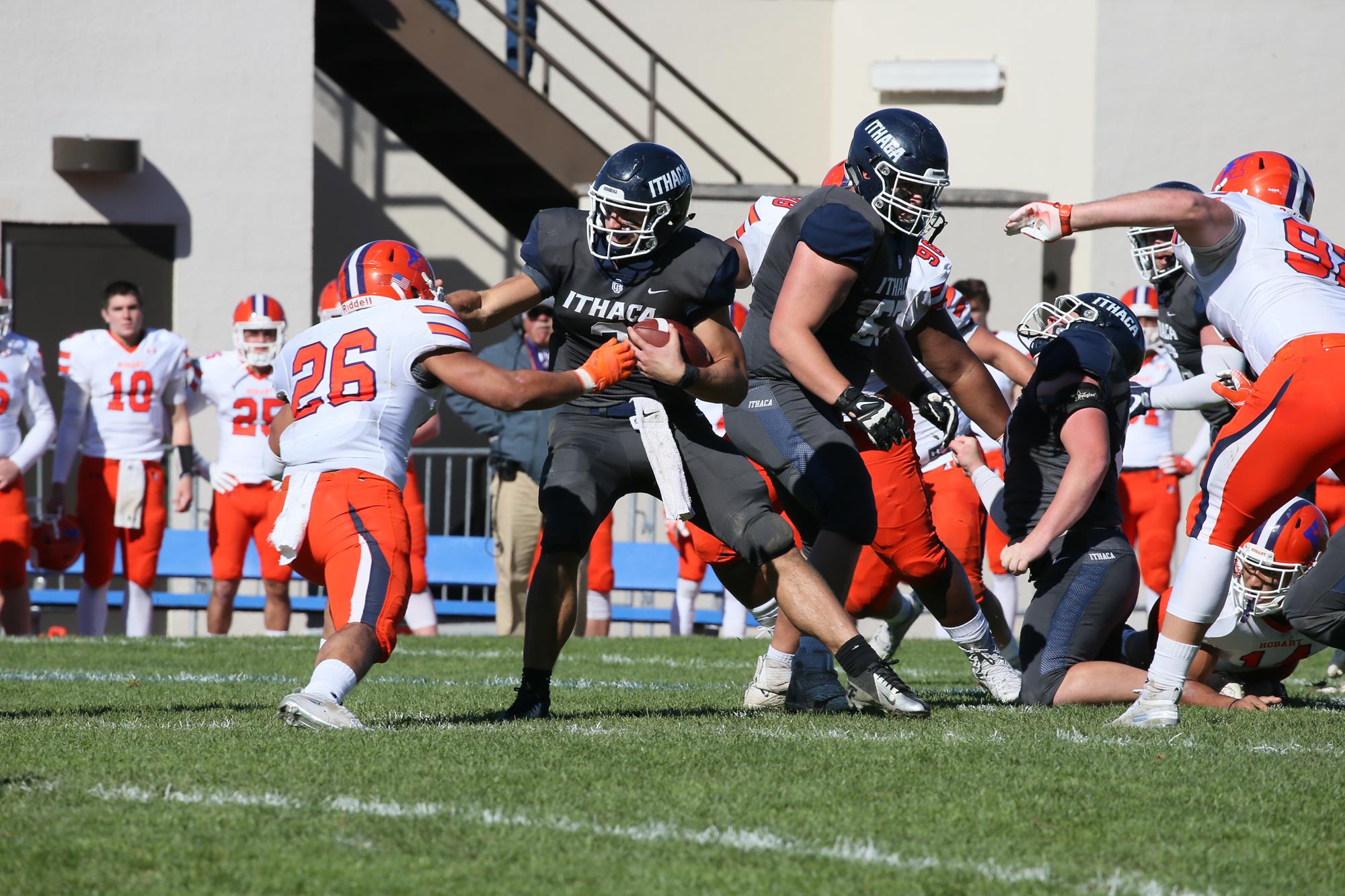 Joe Germinerio - Football - Ithaca College Athletics