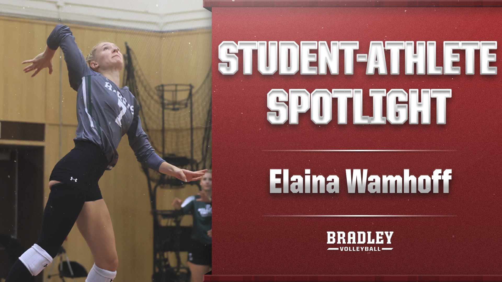 Braves Volleyball Add AVCA All-American Elaina Wamhoff - Bradley ...