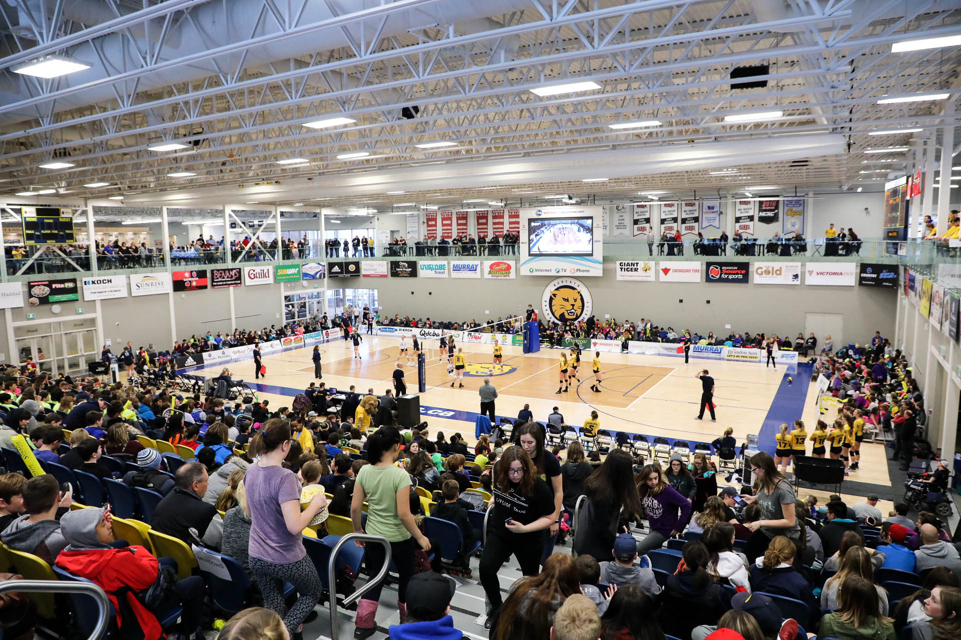 Athletics review provides roadmap to safer sport for Brandon University ...