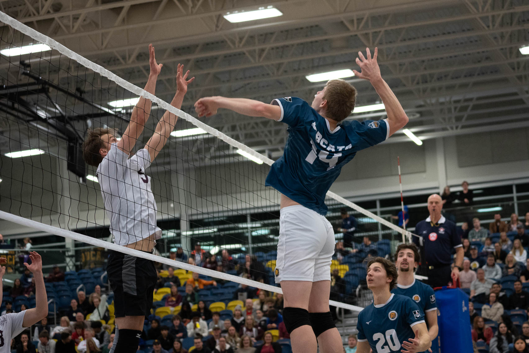 Friesen's dominant fifth lifts Bobcats to victory - Brandon University ...