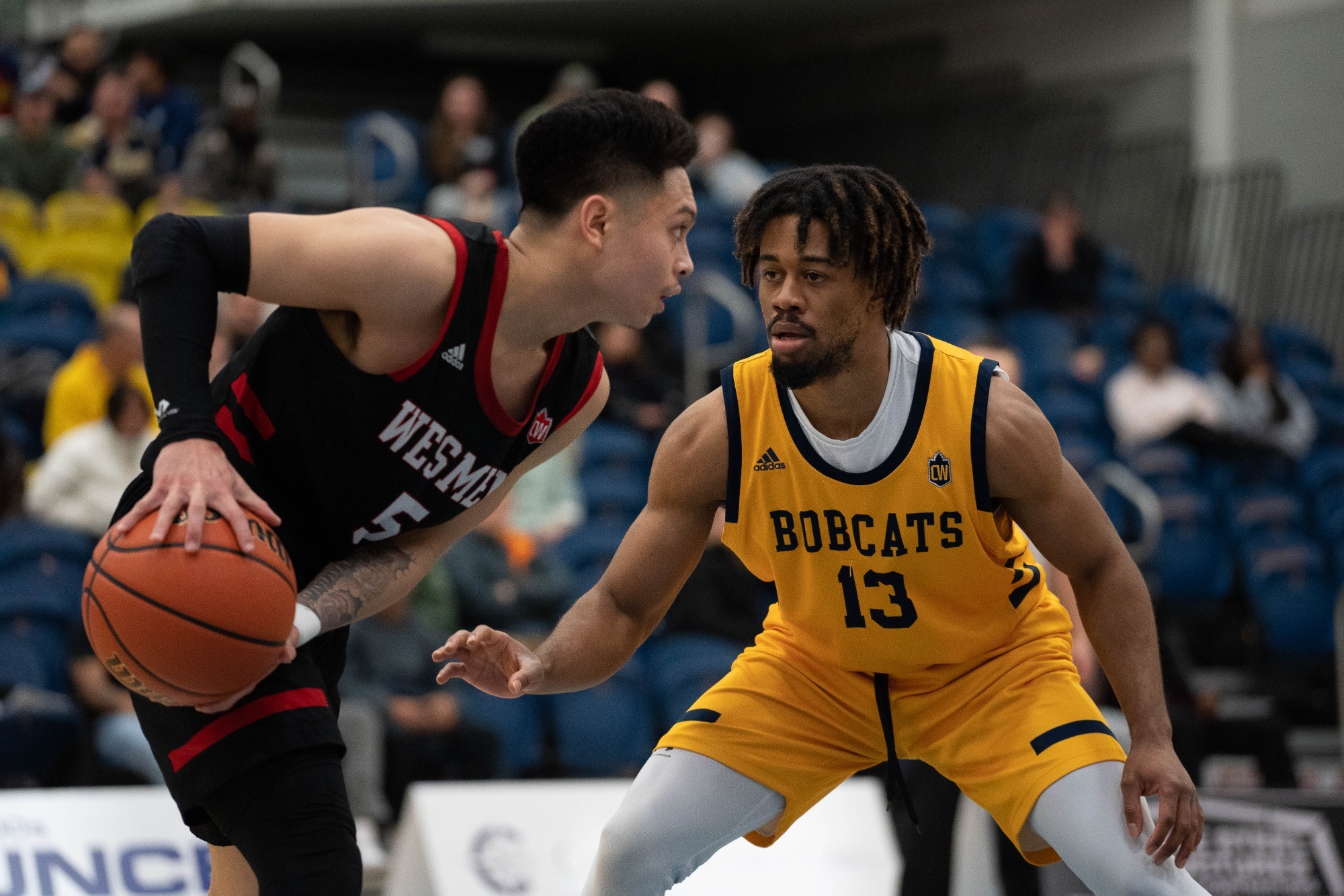 Wesmen sweep Bobcats to cap first half of schedule - Brandon University ...