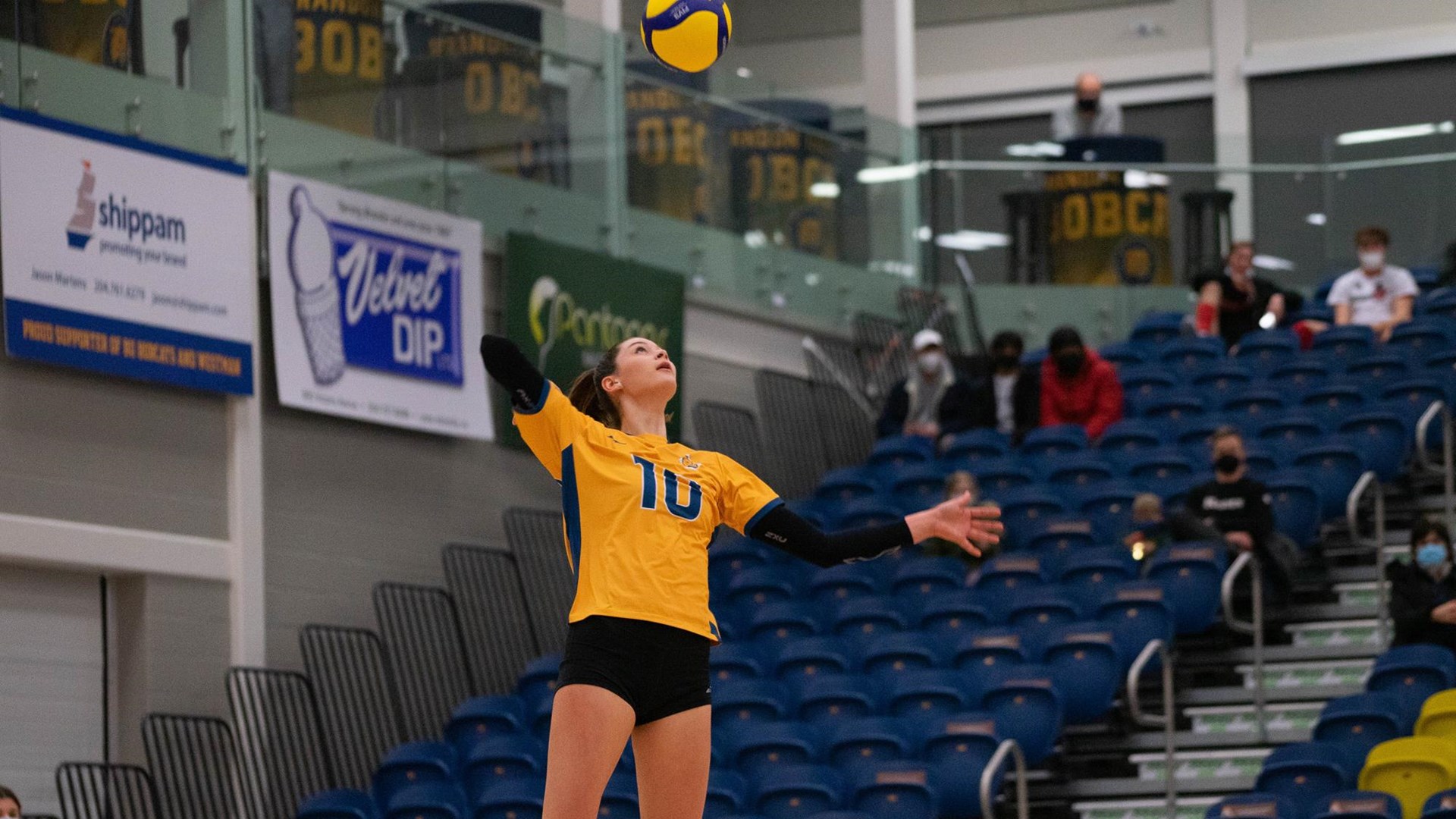 WVB Player Profile - Keely Anderson - Brandon University Athletics