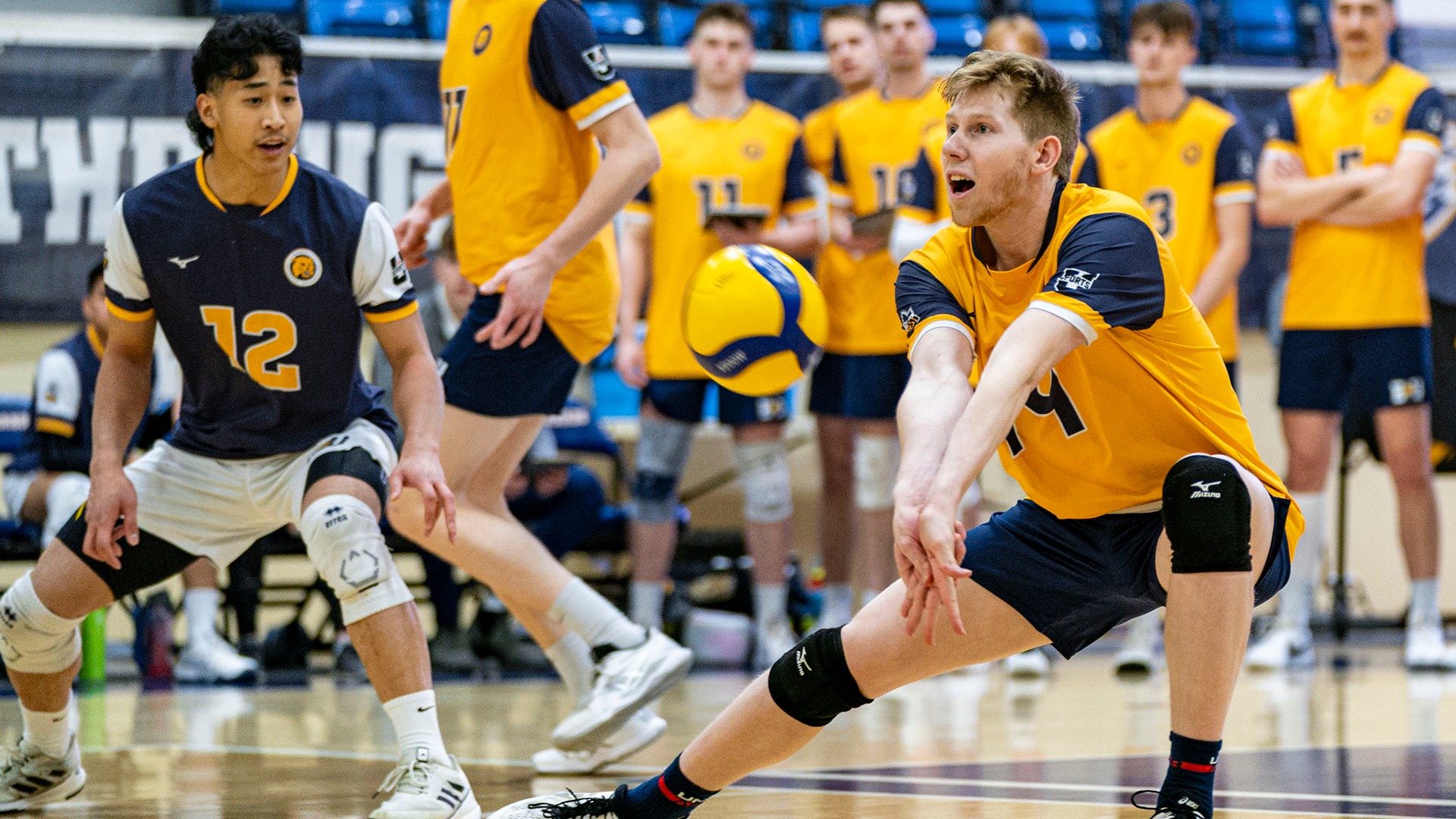 Host Bobcats to battle top-ranked Wesmen - Brandon University Athletics