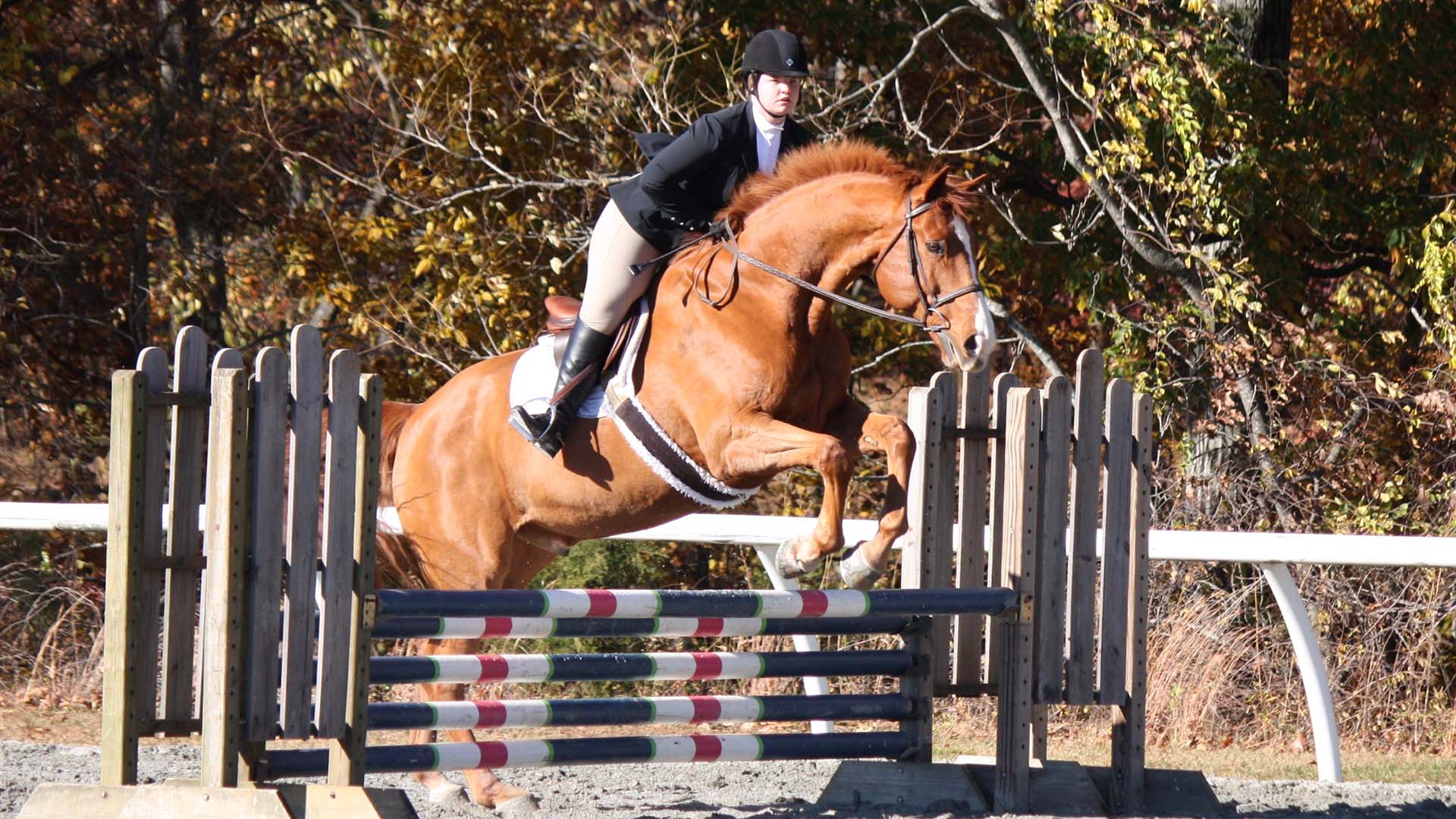 Caroline Warren - 2022-23 - Equestrian - Bridgewater College