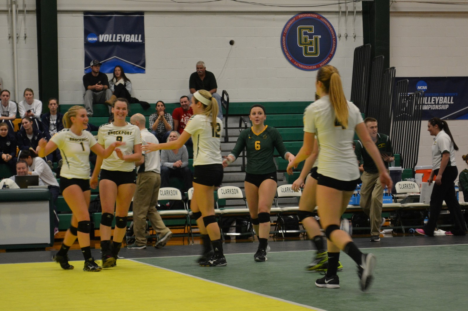 Ashley Capone - Women's Volleyball - SUNY Brockport Athletics