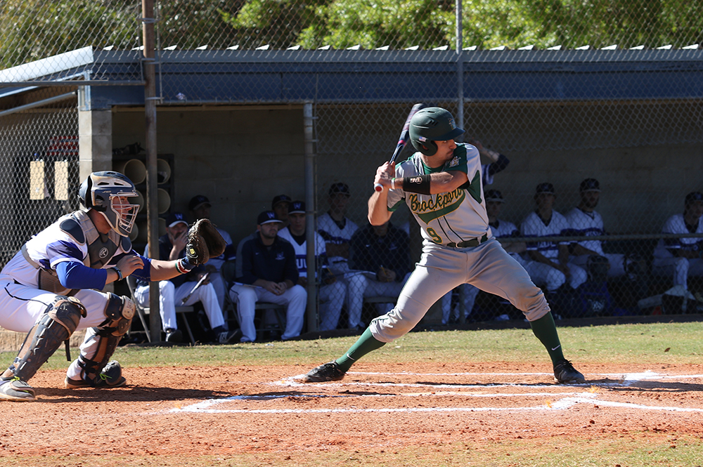 Paul Ludden - Baseball - SUNY Brockport Athletics