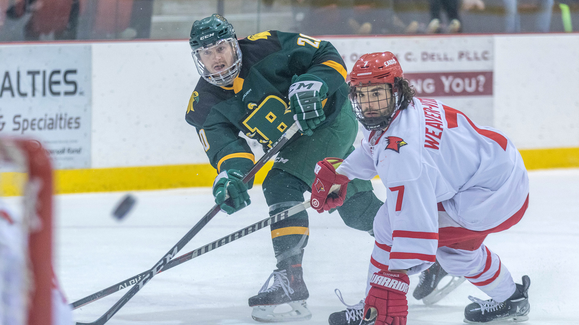 Connor Galloway - Ice Hockey - SUNY Brockport Athletics