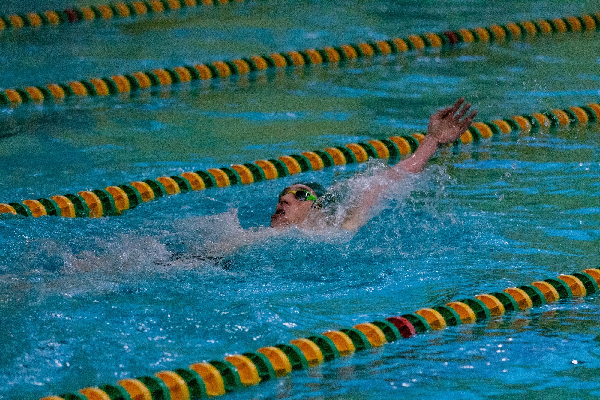 Double Win for Brockport Swimming and Diving - SUNY Brockport Athletics