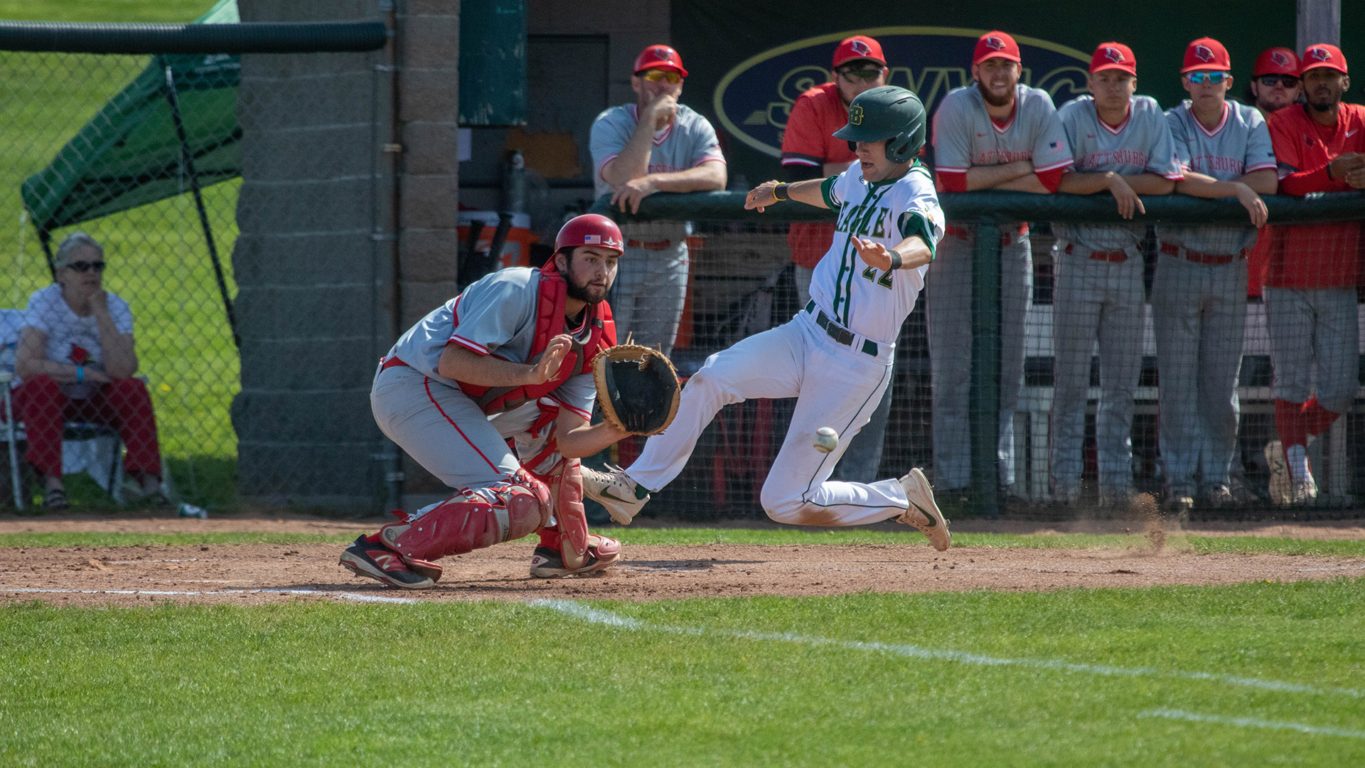 James Houlahan - Baseball - SUNY Brockport Athletics