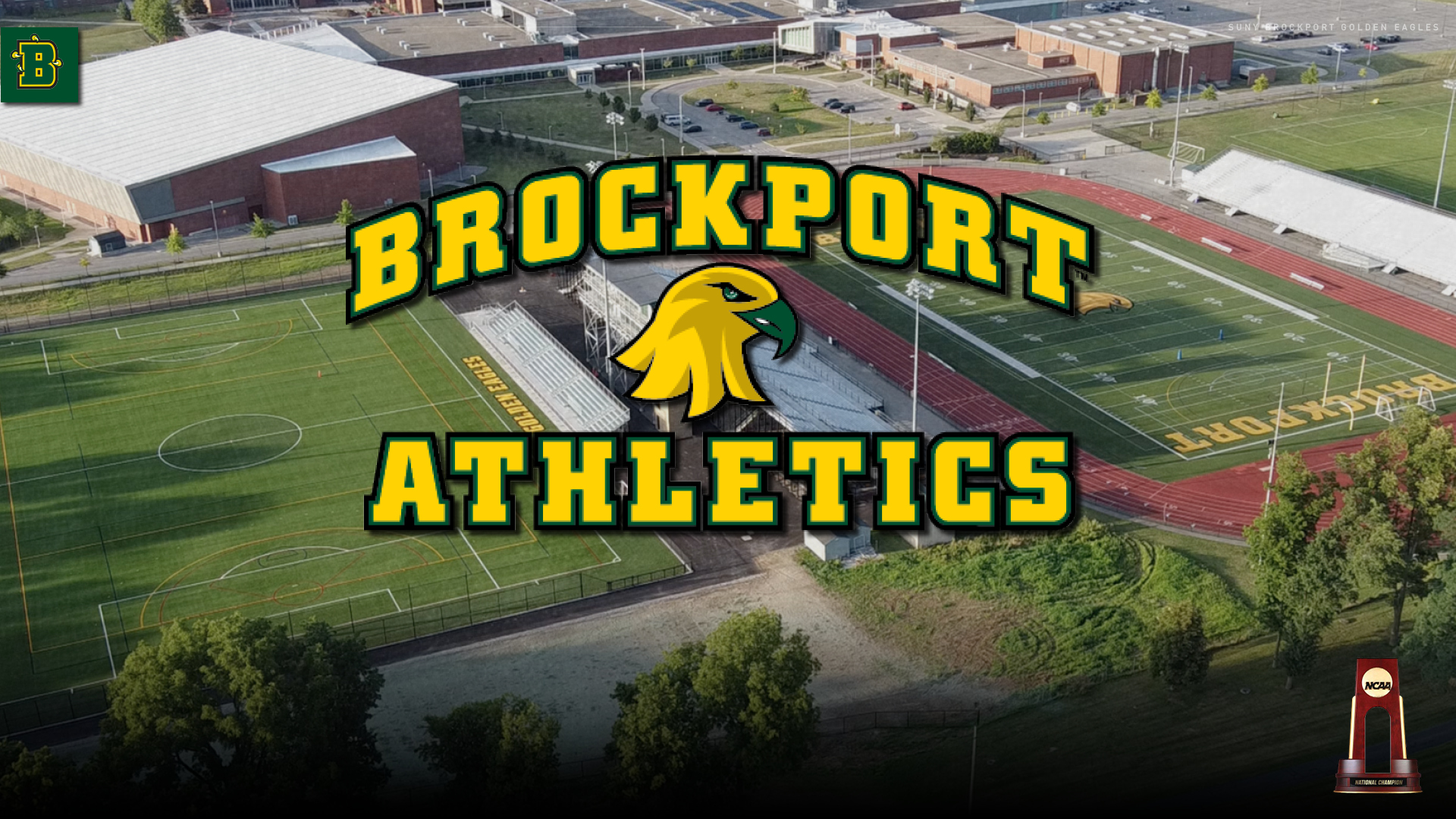 Golden Eagles Announce Restructured Administrative Team Ahead of ...