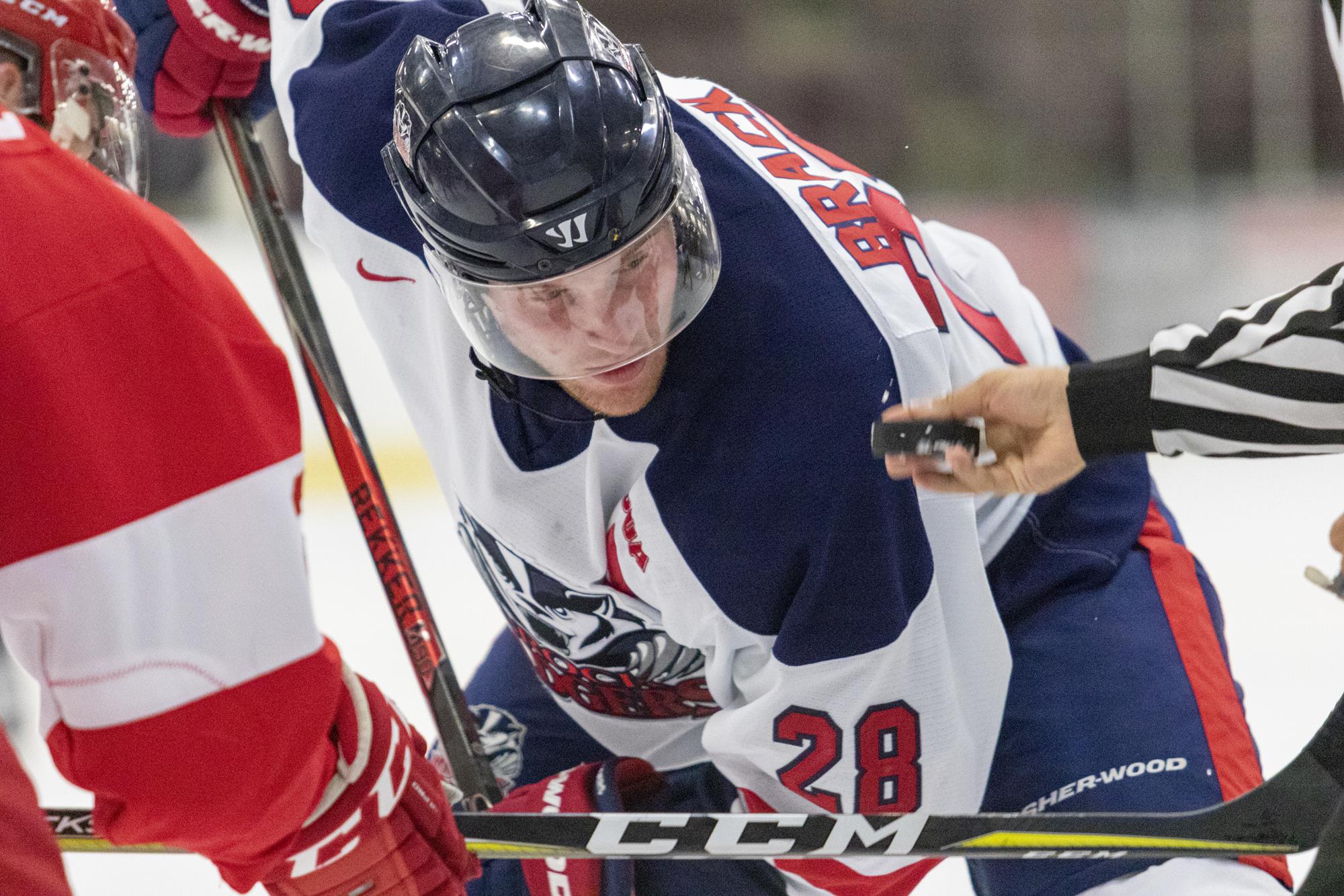 Badgers light up scoreboard versus Paladins - Brock University Athletics