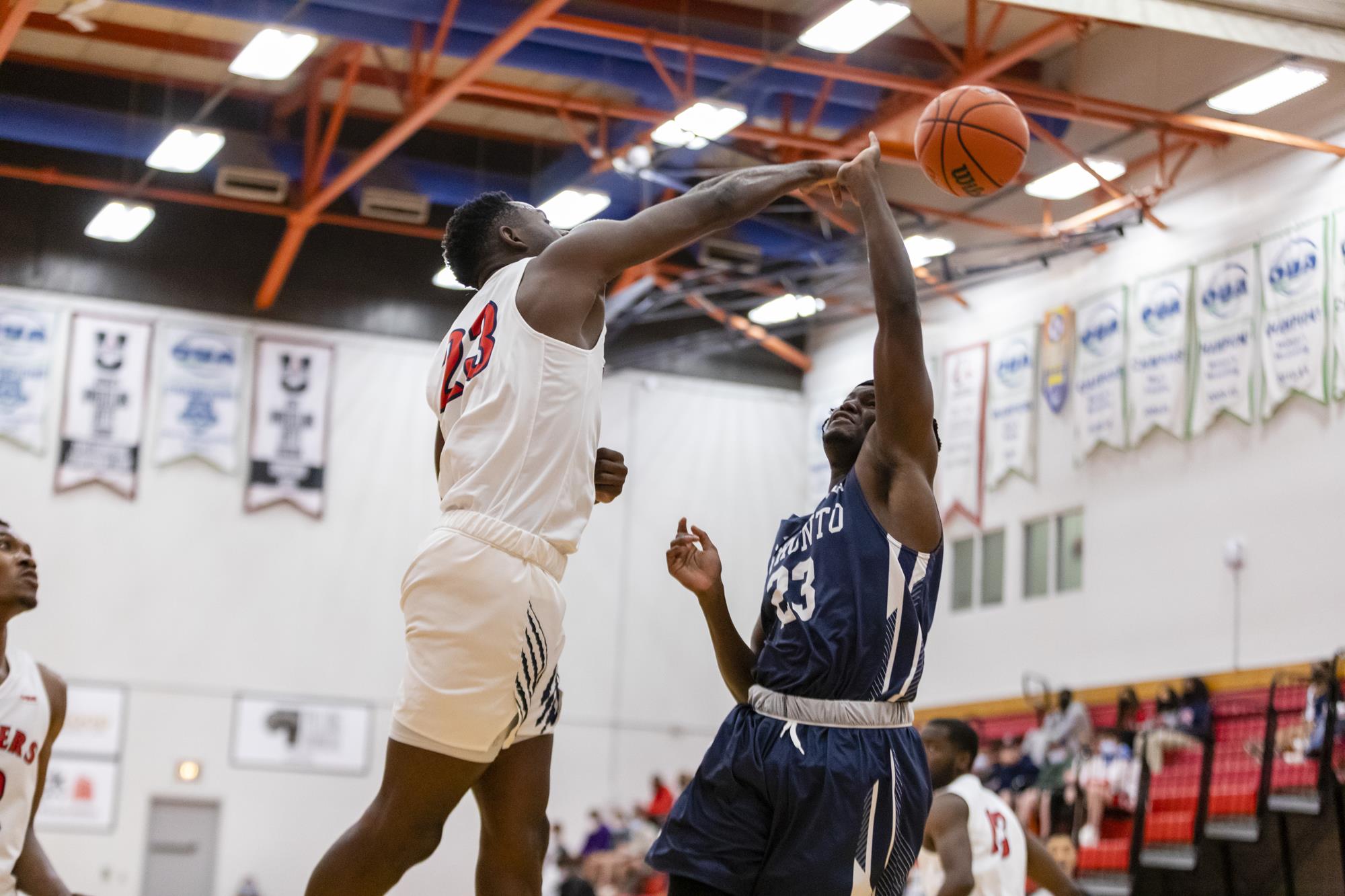 Tyler Plummer - Men's Basketball - Brock University Athletics