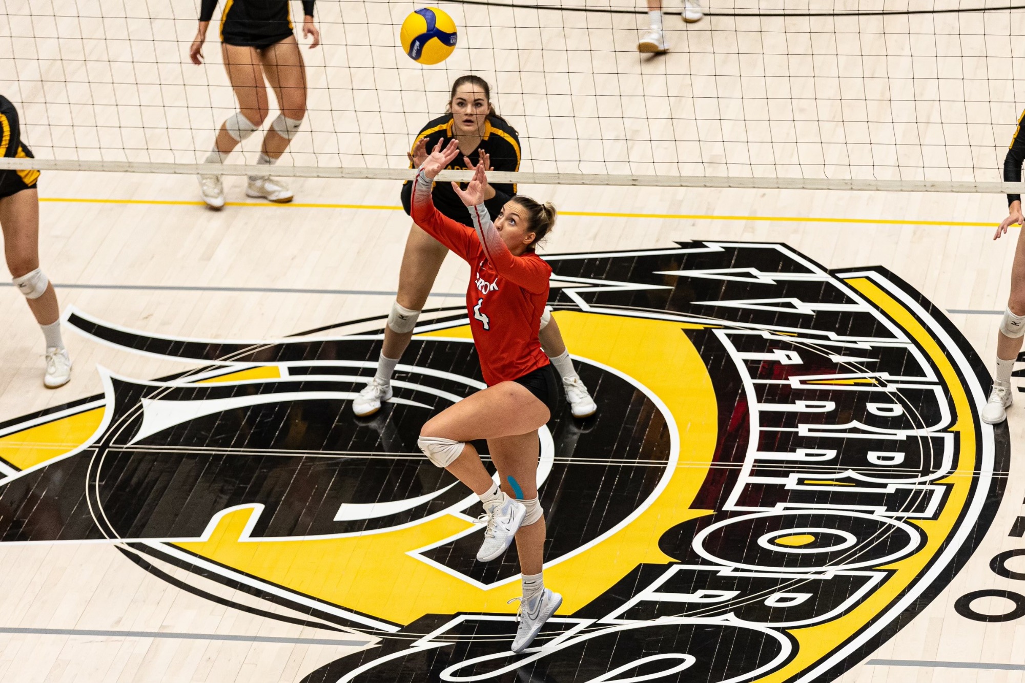 Sara Rohr - Women's Volleyball - Brock University Athletics