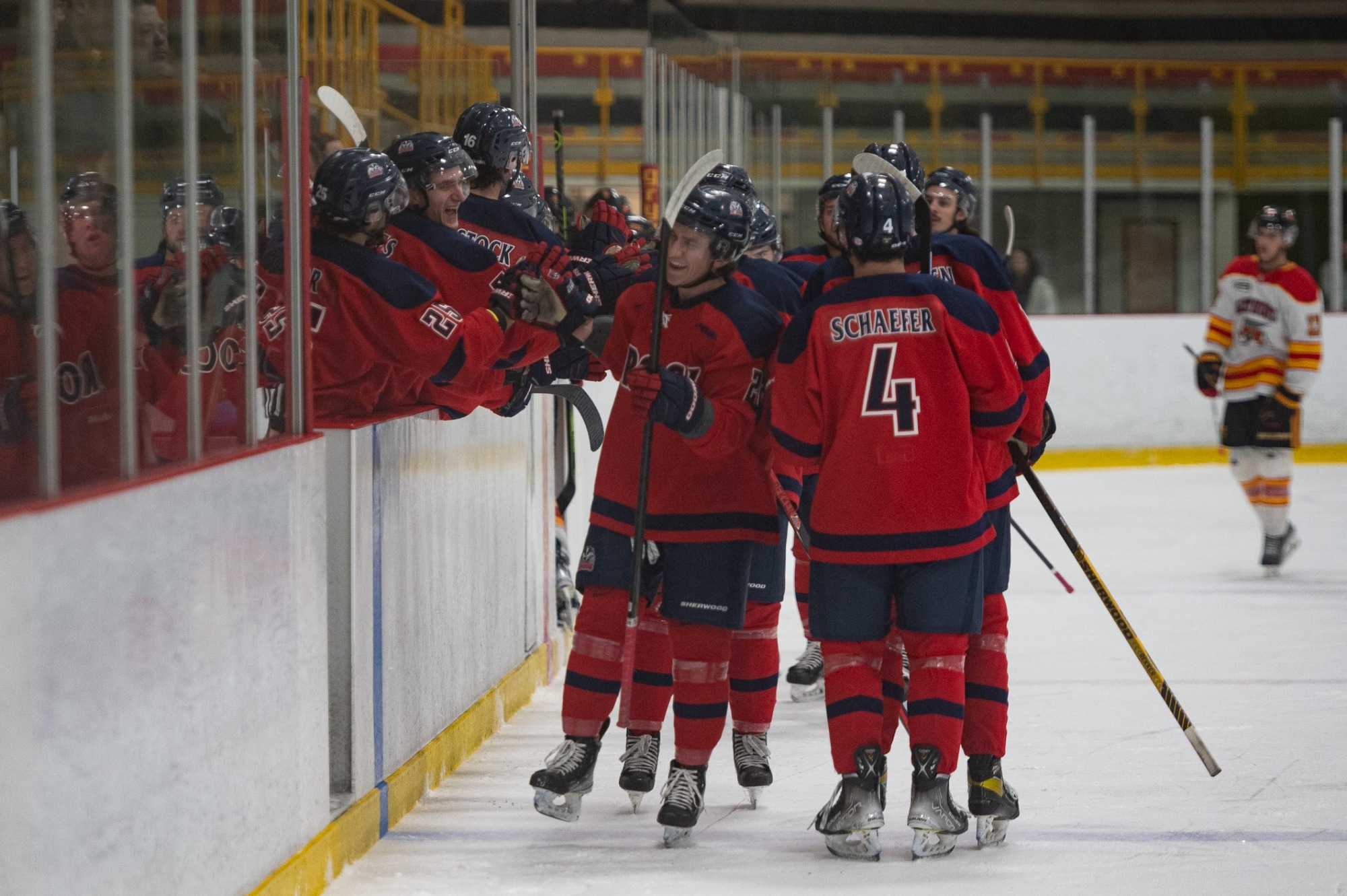 Brock men's hockey win in overtime versus Guelph - Brock University ...