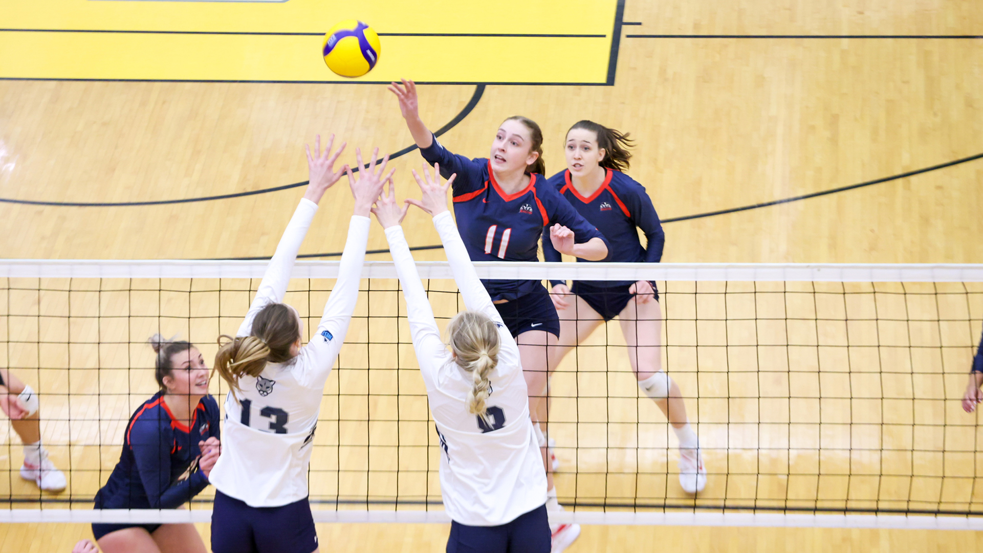 Grace Pyatt - Women's Volleyball - Brock University Athletics