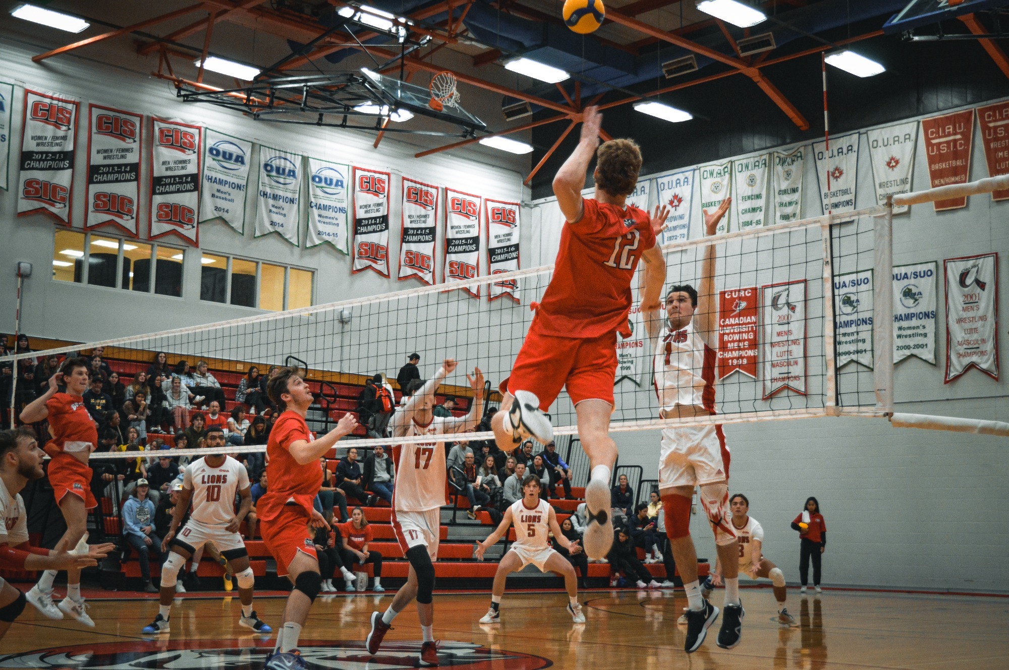 Badgers come up just short in five setter - Brock University Athletics