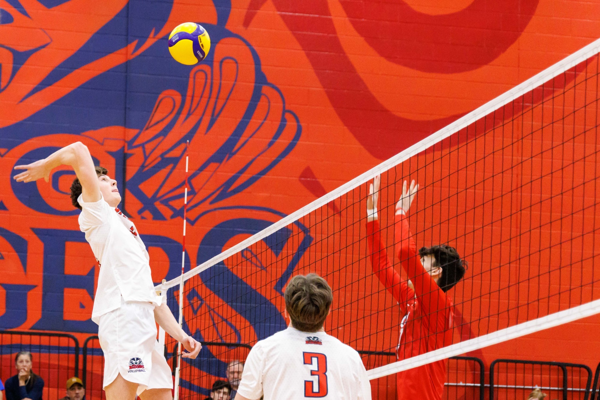 Lions outlast Badgers in marathon fifth set - Brock University Athletics