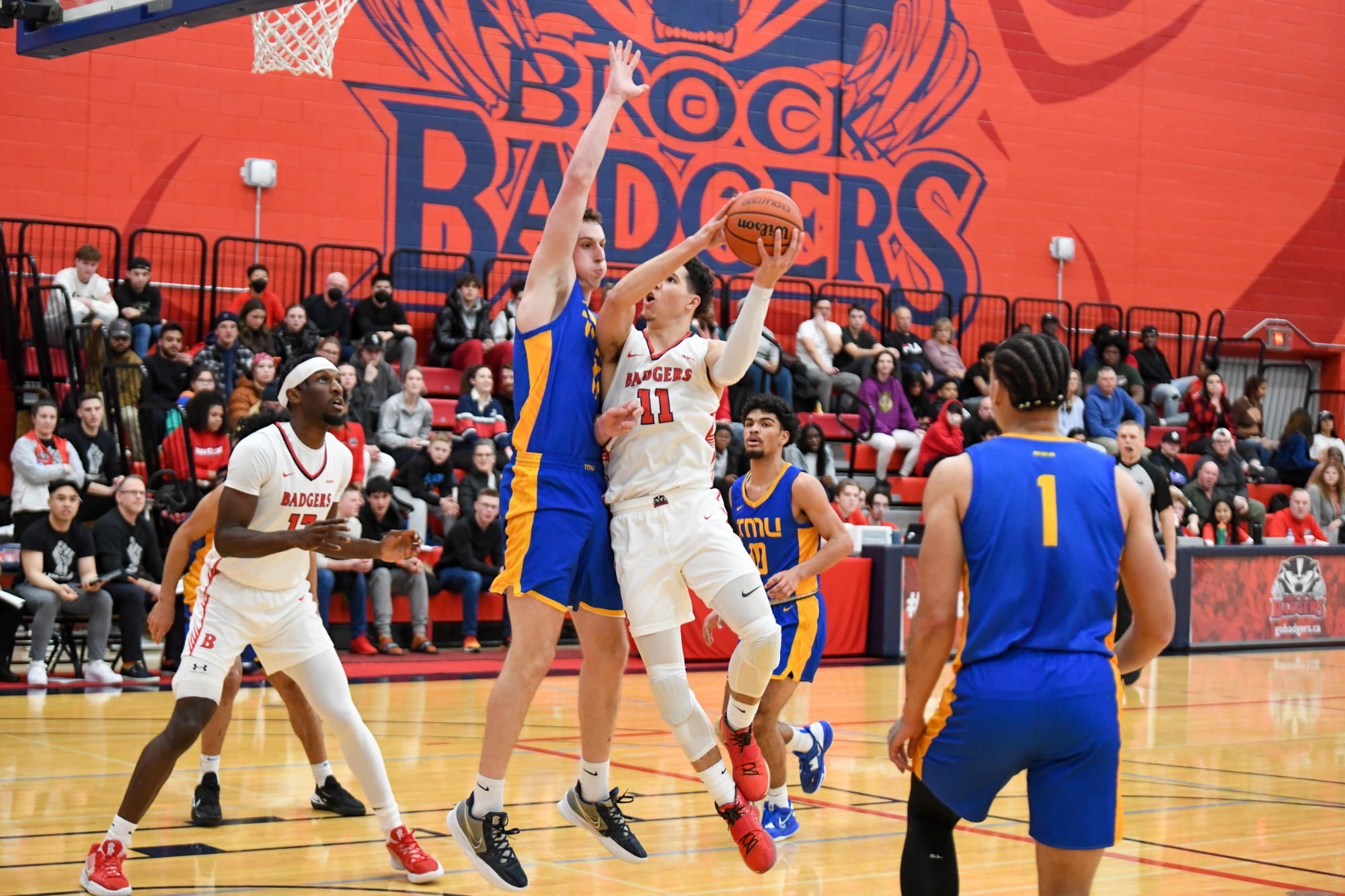 Badgers can't hold back Bold in final regular season game - Brock ...