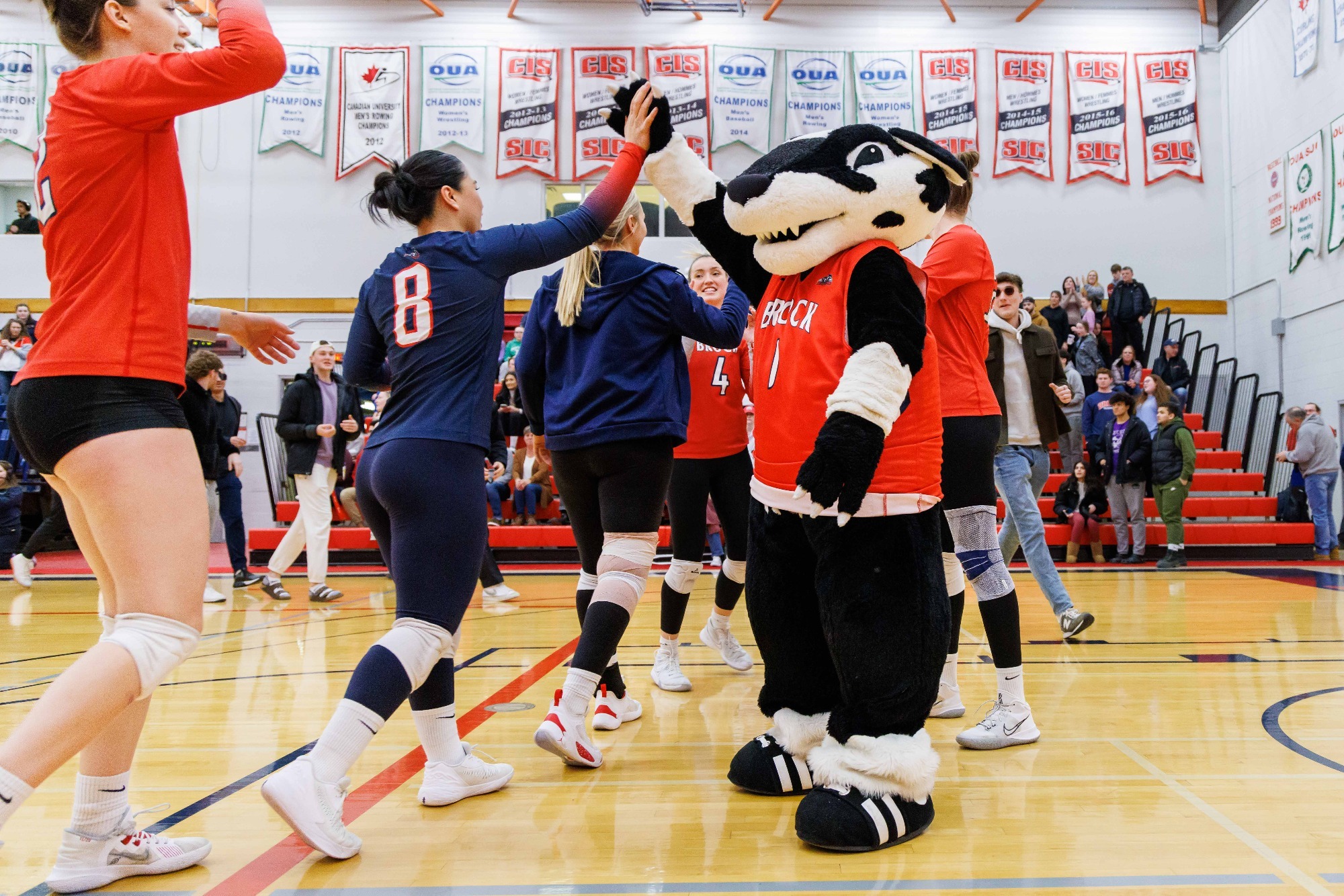 No. 2 Badgers advance to OUA semifinals - Brock University Athletics