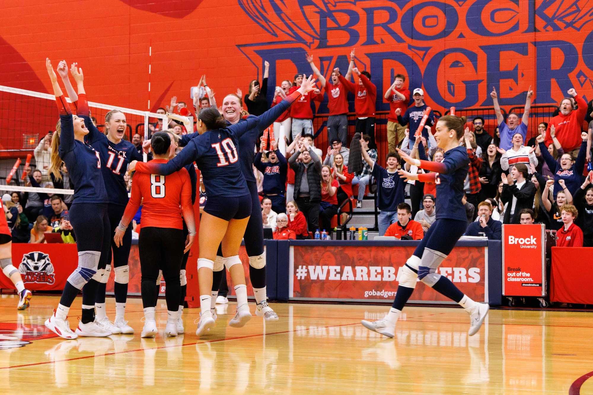 Brock women's volleyball heading back to the Quigley Cup - Brock ...