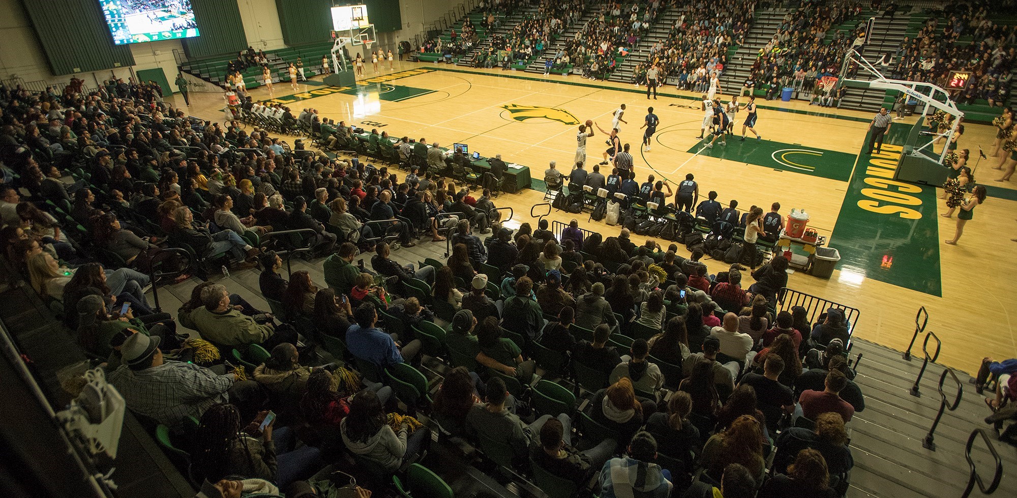 BRONCOMANIA Announced at Cal Poly Pomona - Cal Poly Pomona Athletics