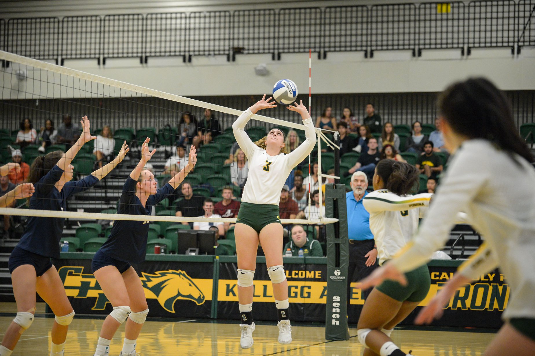 Kaitlin Powell - 2019 - Volleyball - Cal Poly Pomona Athletics