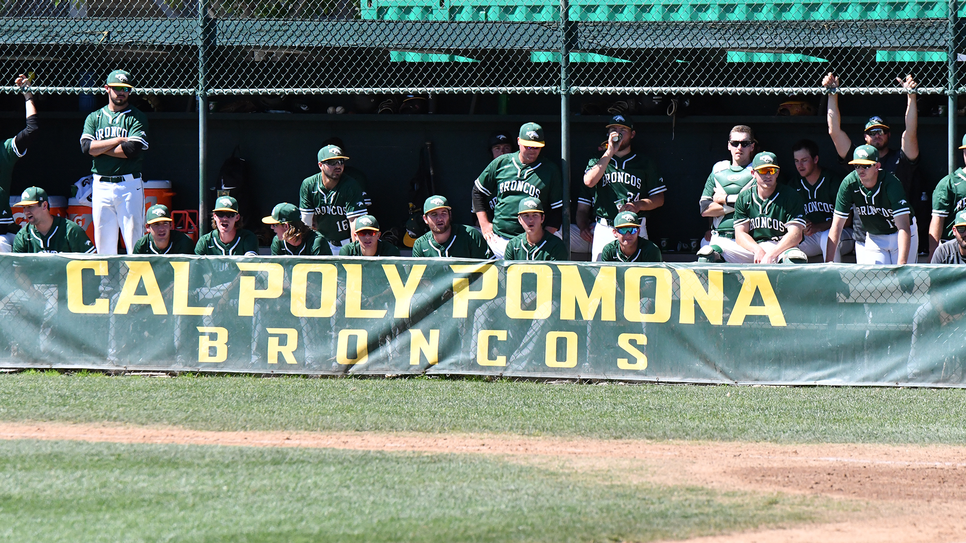 Baseball Loses Twice To Sonoma On Sunday - Cal Poly Pomona Athletics