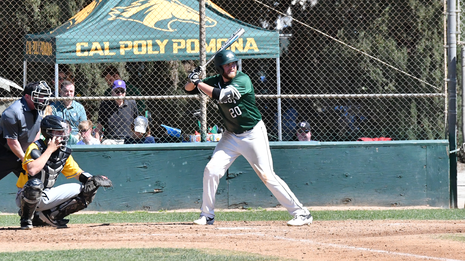 Patrick Flynn - 2019 - Baseball - Cal Poly Pomona Athletics