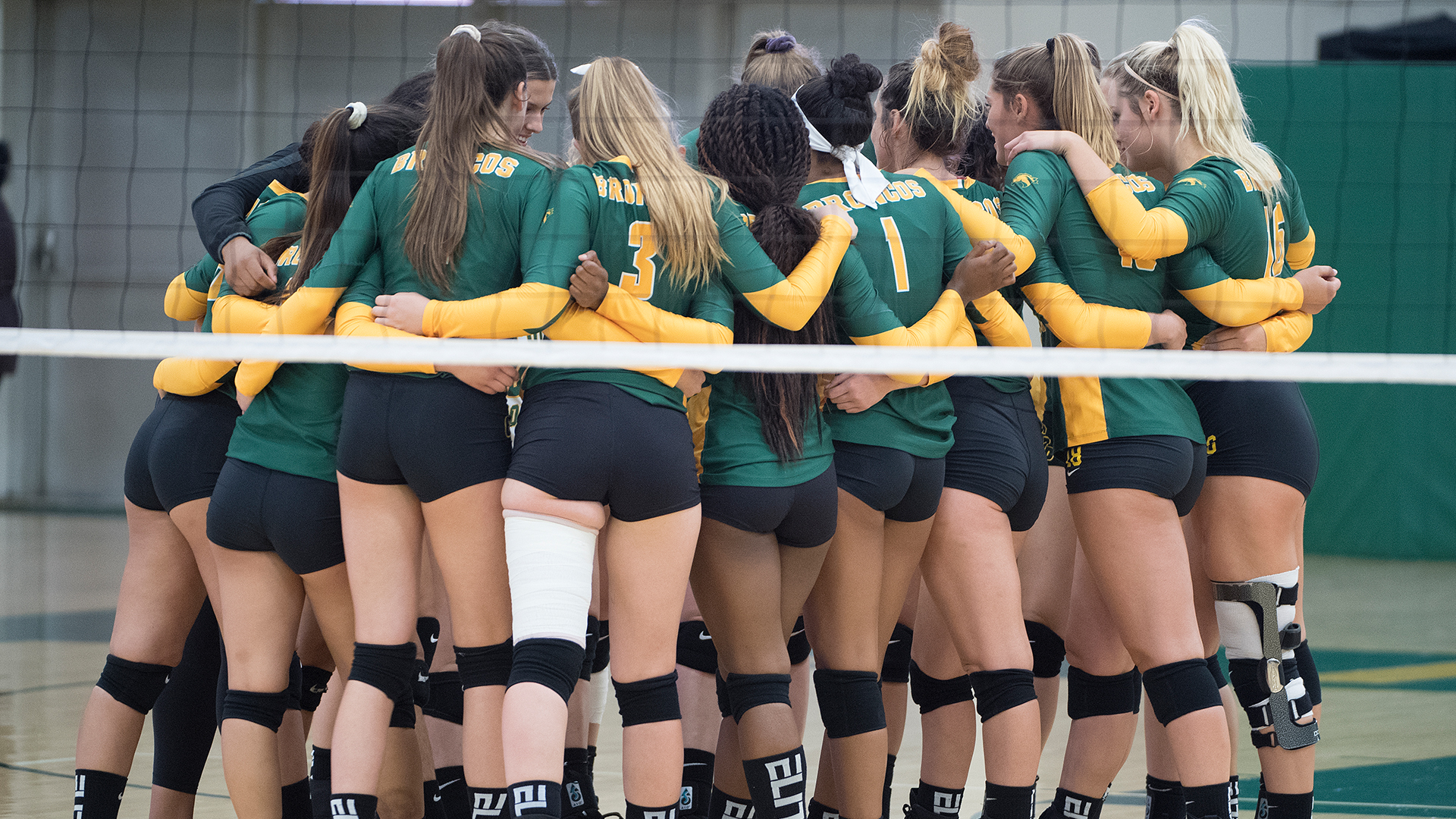 Volleyball Swept By Cougars In San Marcos - Cal Poly Pomona Athletics