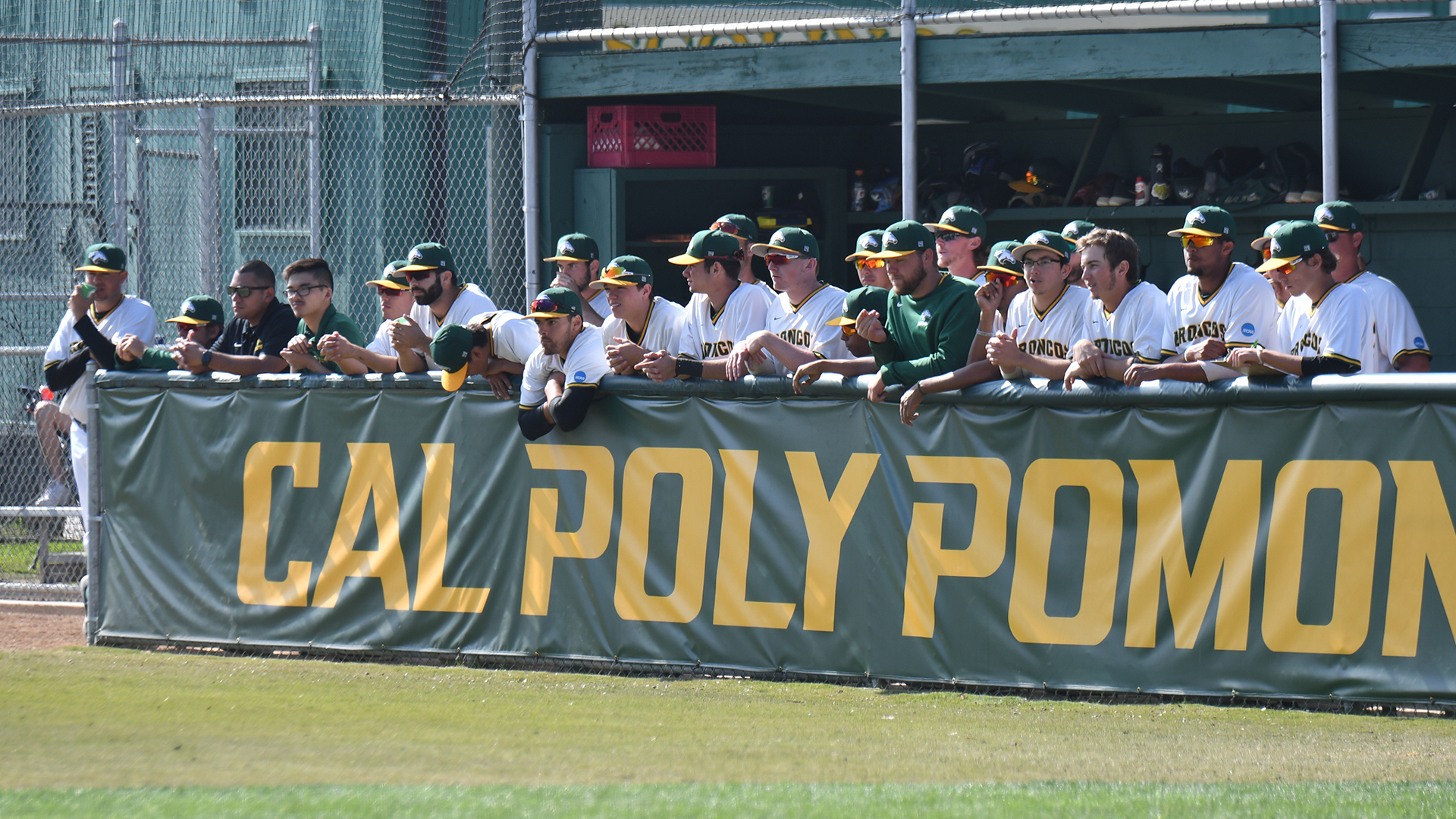 Baseball Drops 7-6 Decision To #2 Tritons - Cal Poly Pomona Athletics