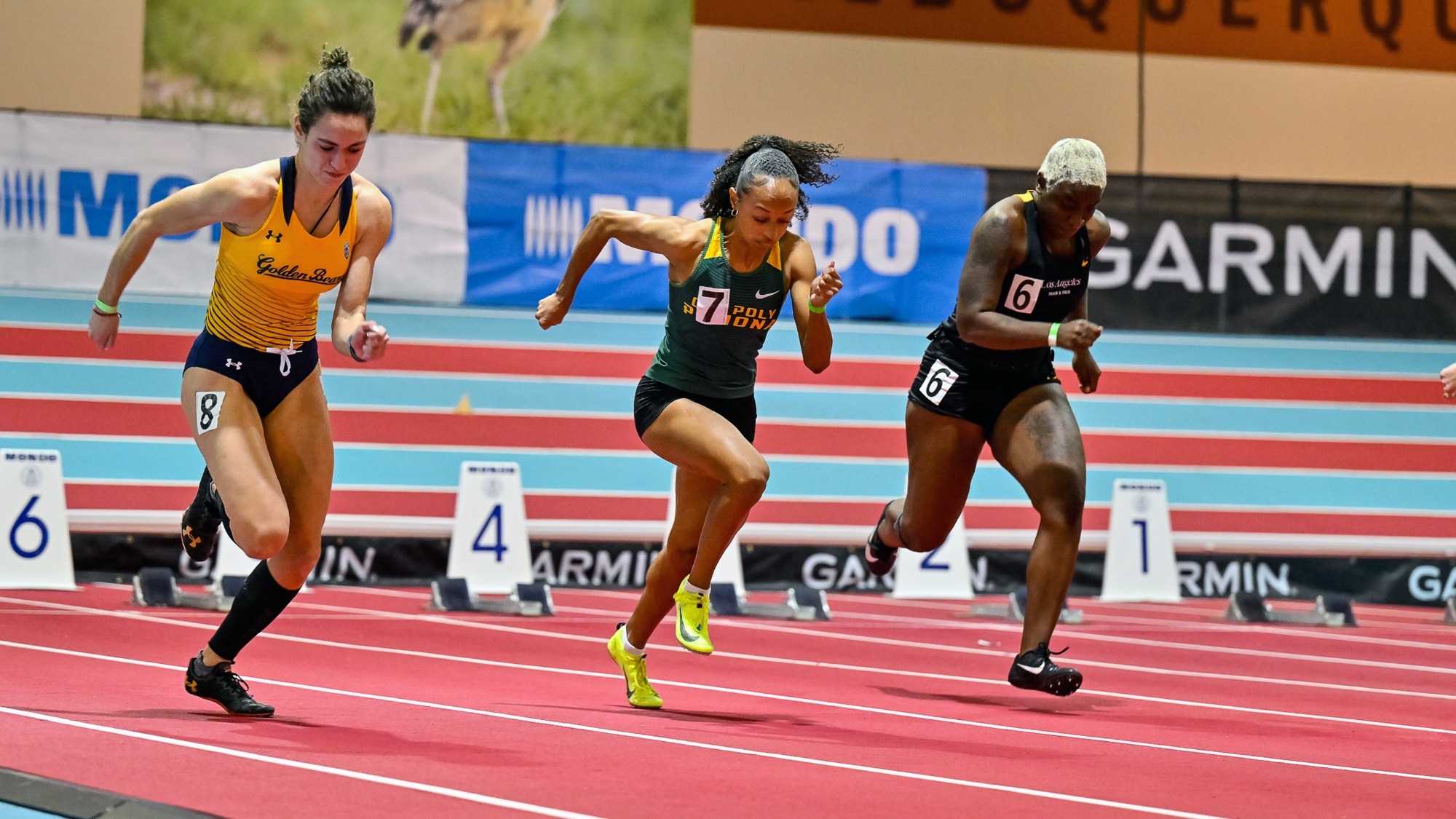 Jaelyn Thomas - 2024 - Women's Track and Field - Cal Poly Pomona Athletics